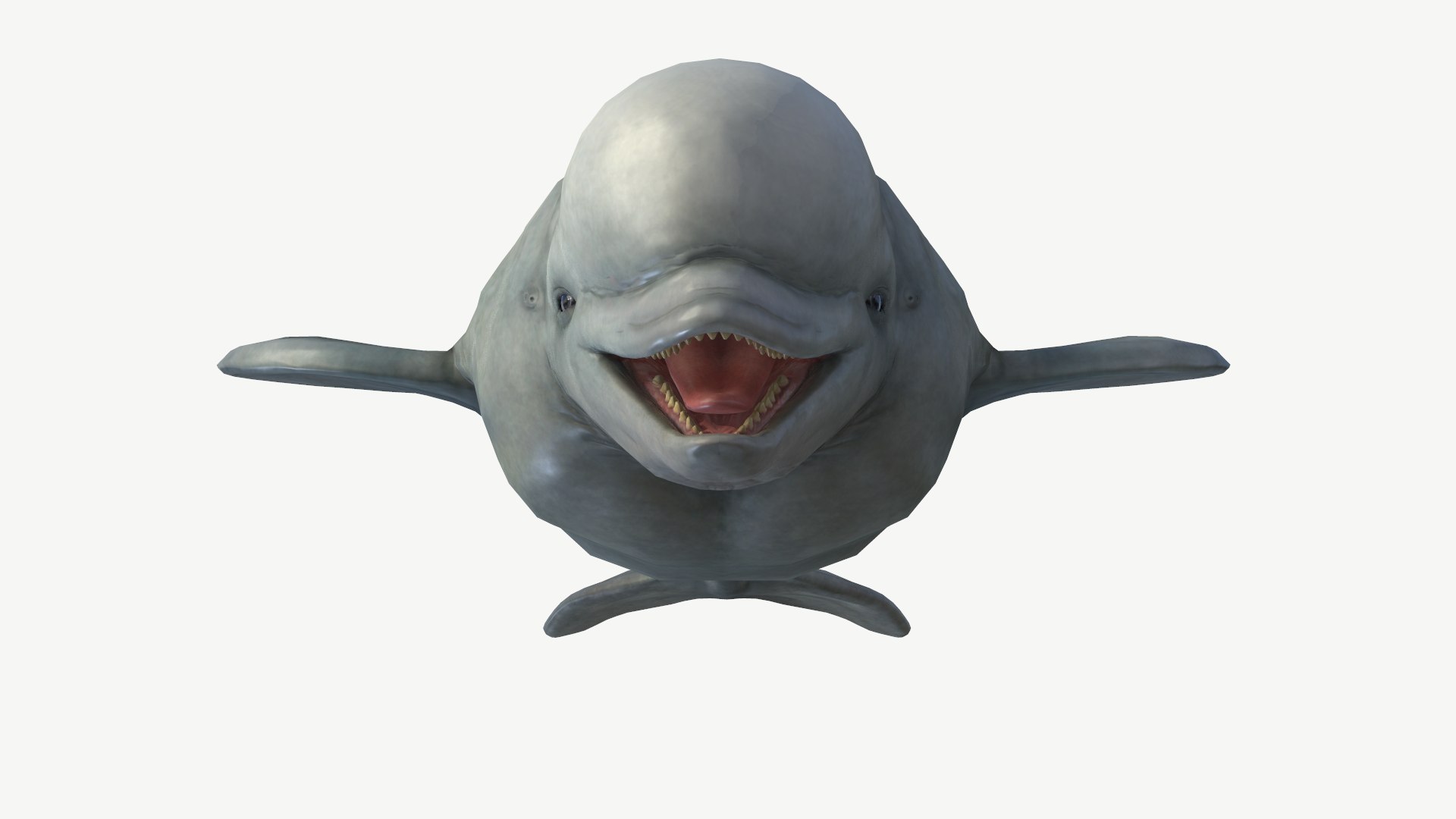 Beluga Whale 3D model - TurboSquid 1966504
