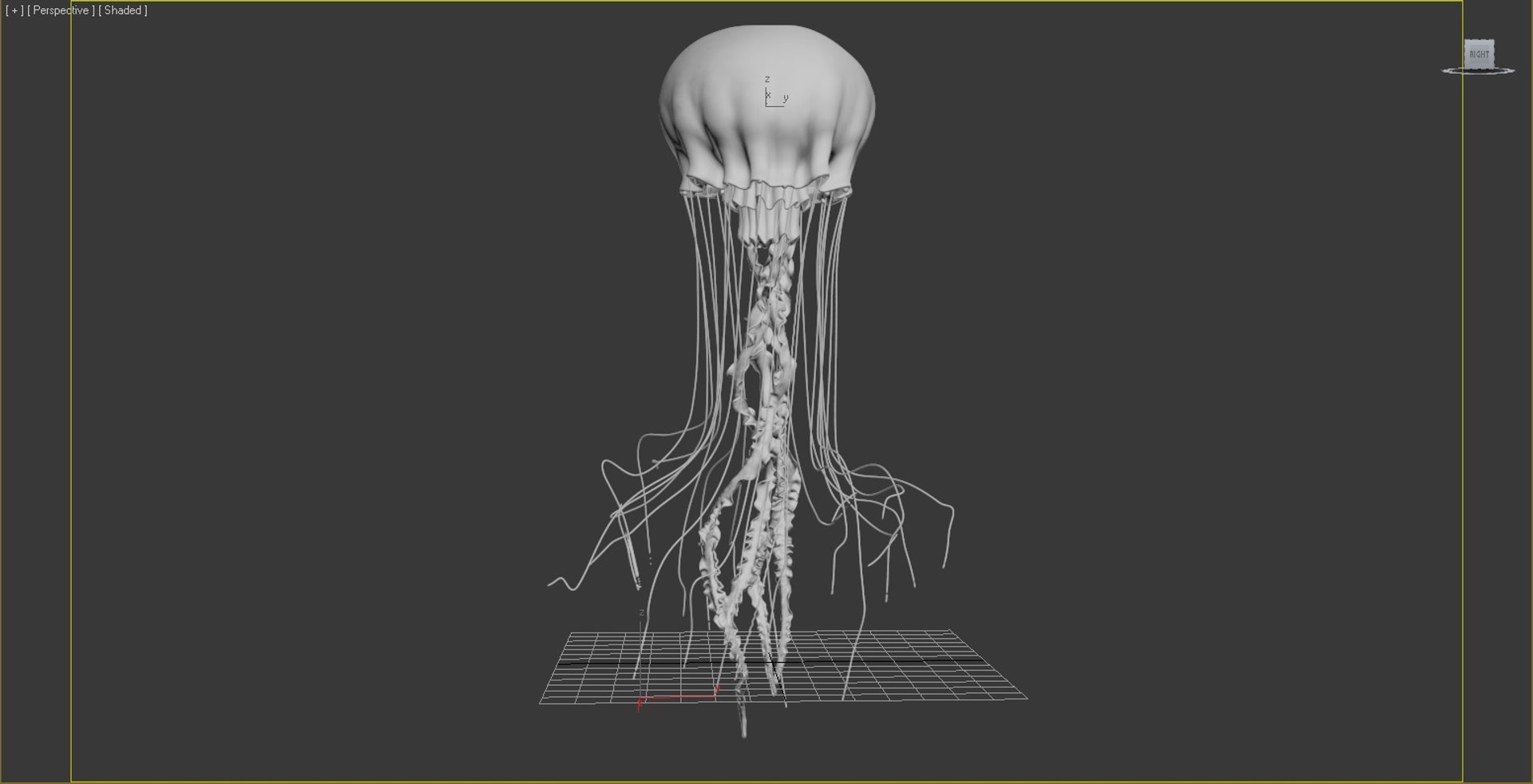 Max Object Jellyfish Animate