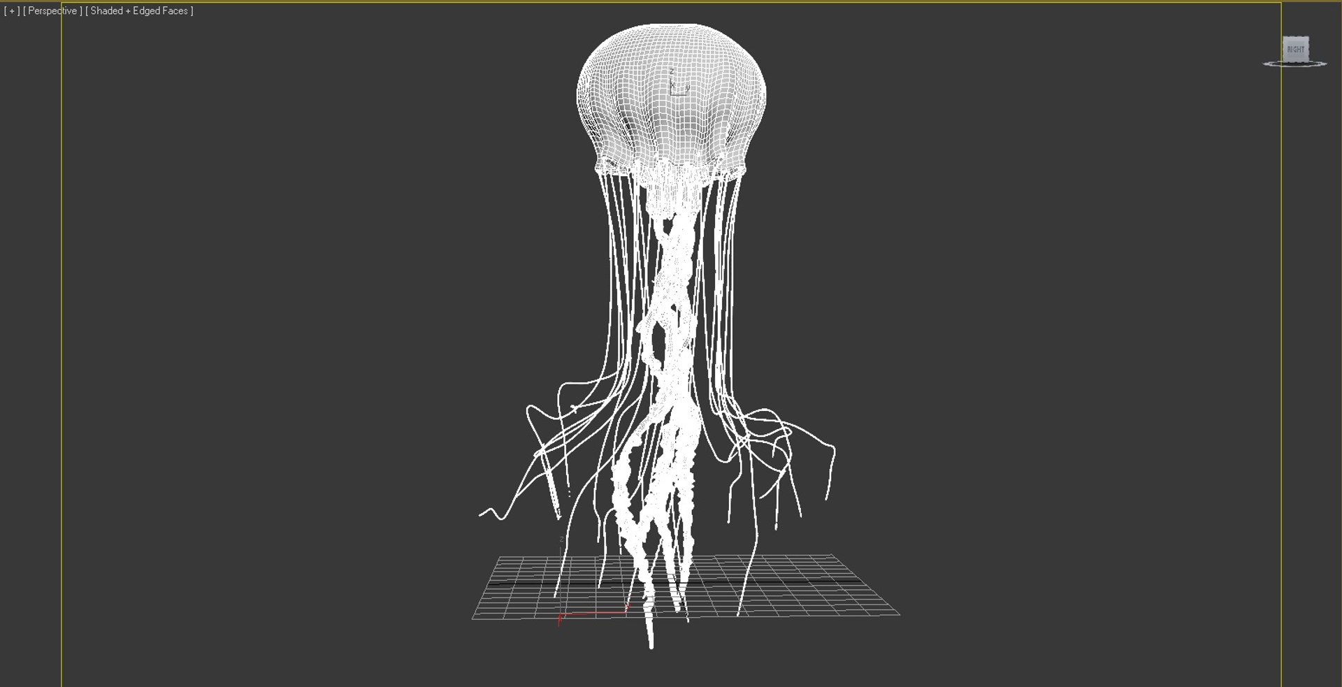 Max Object Jellyfish Animate
