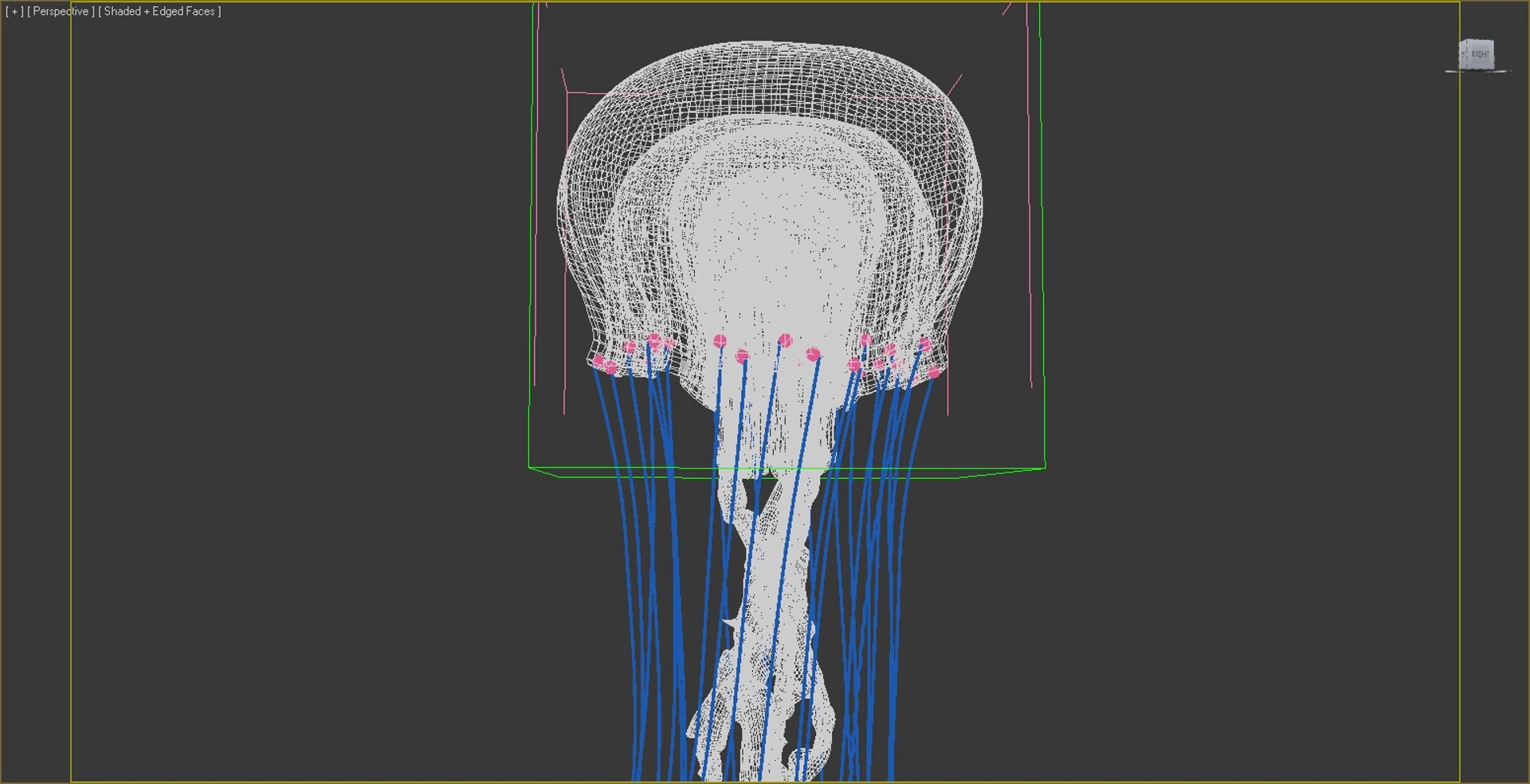 Max Object Jellyfish Animate