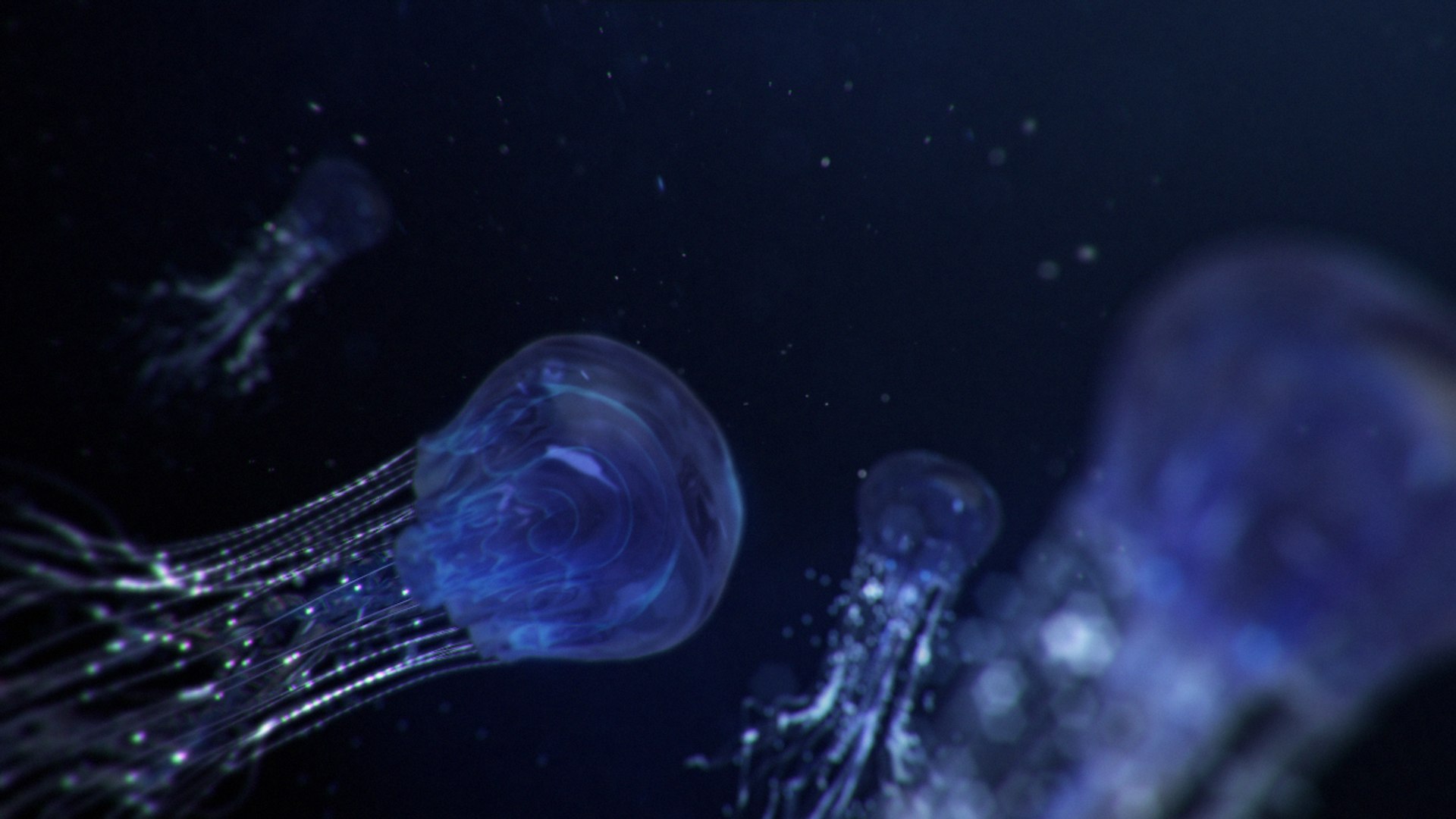 Max Object Jellyfish Animate