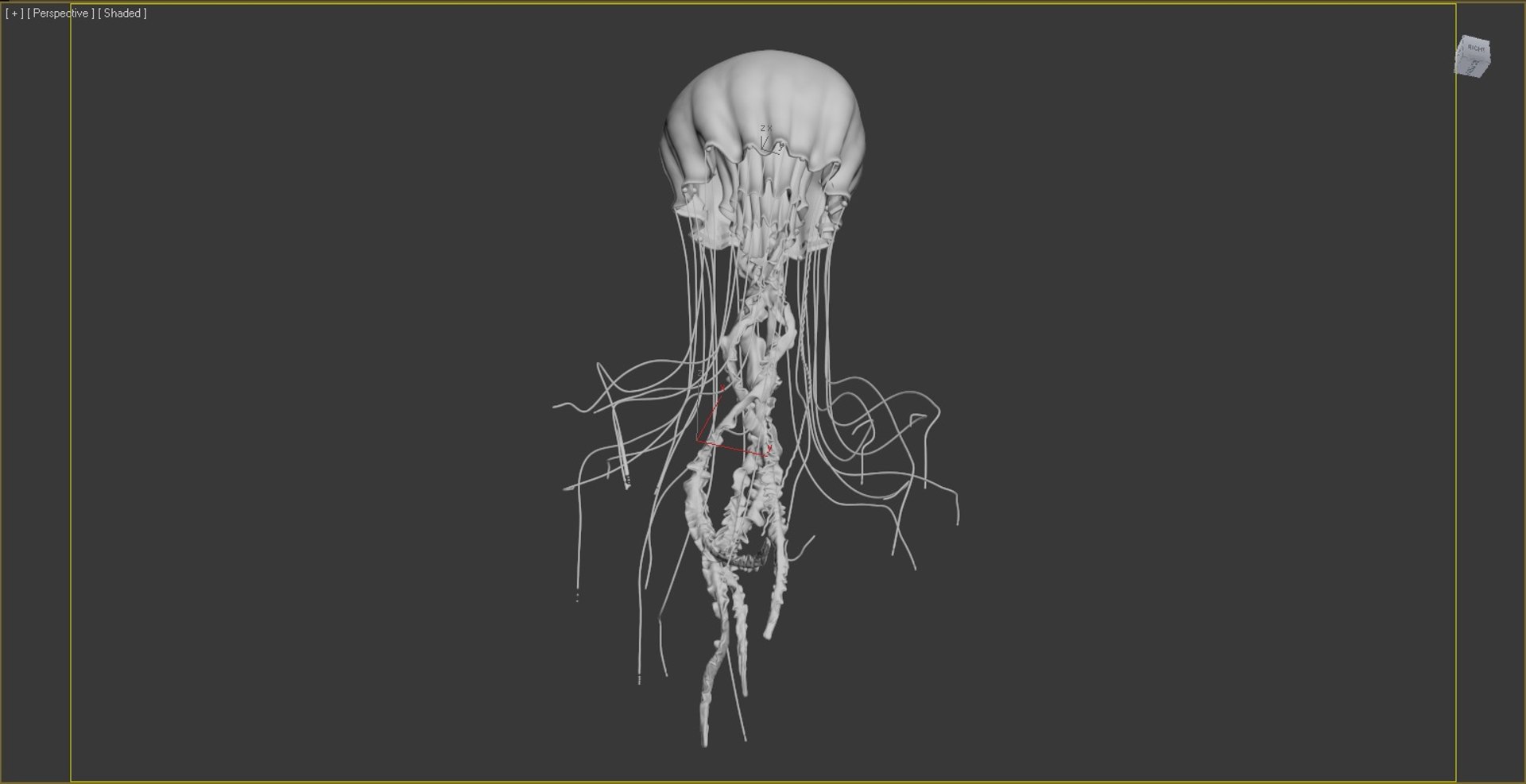 Max Object Jellyfish Animate