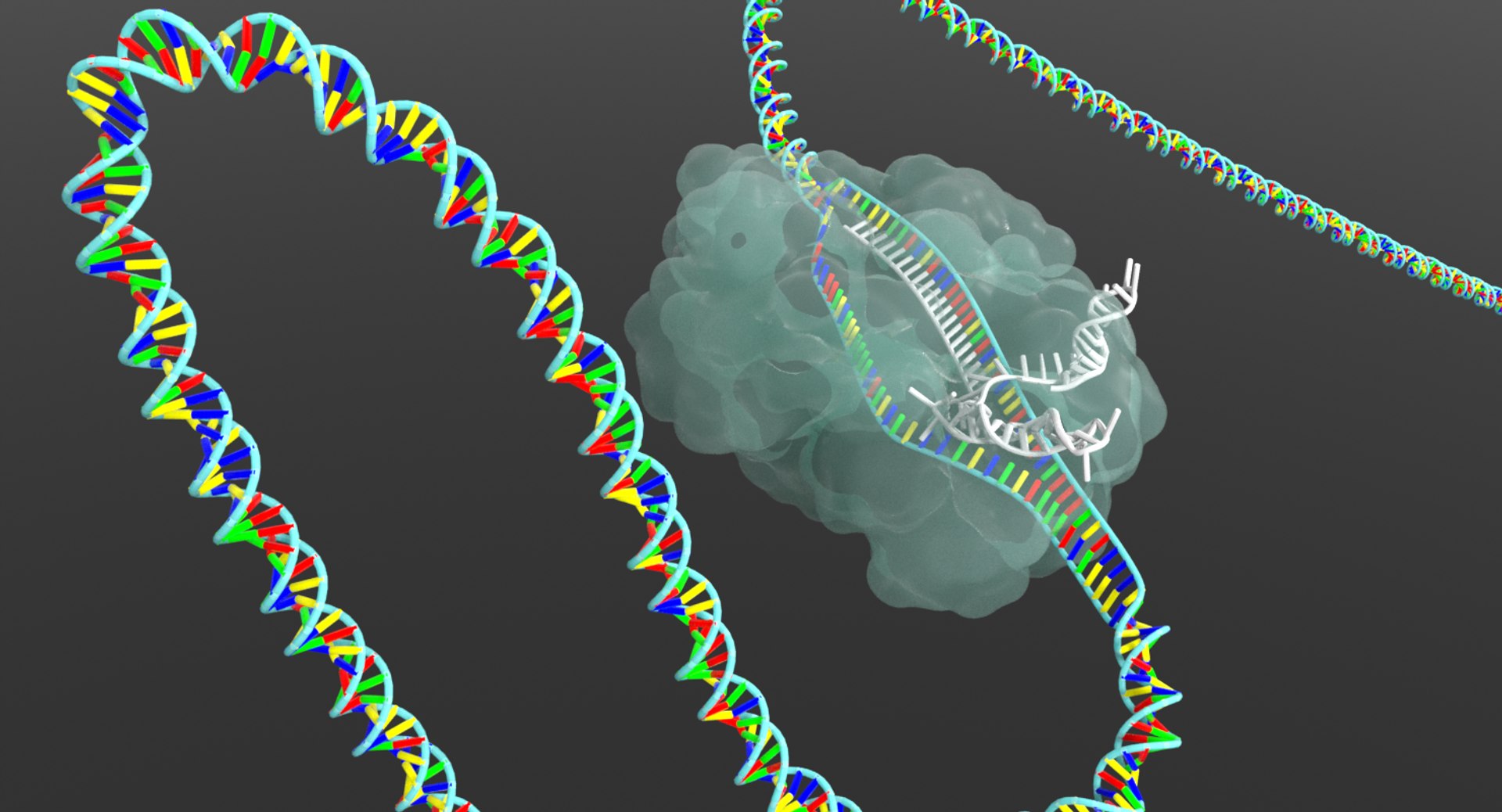 Crispr-cas9 Gene Editing Complex 3D - TurboSquid 1293629