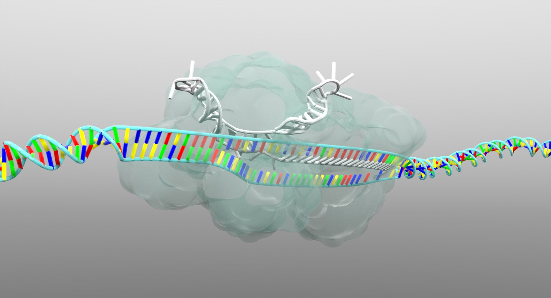 Crispr-cas9 Gene Editing Complex 3D - TurboSquid 1293629