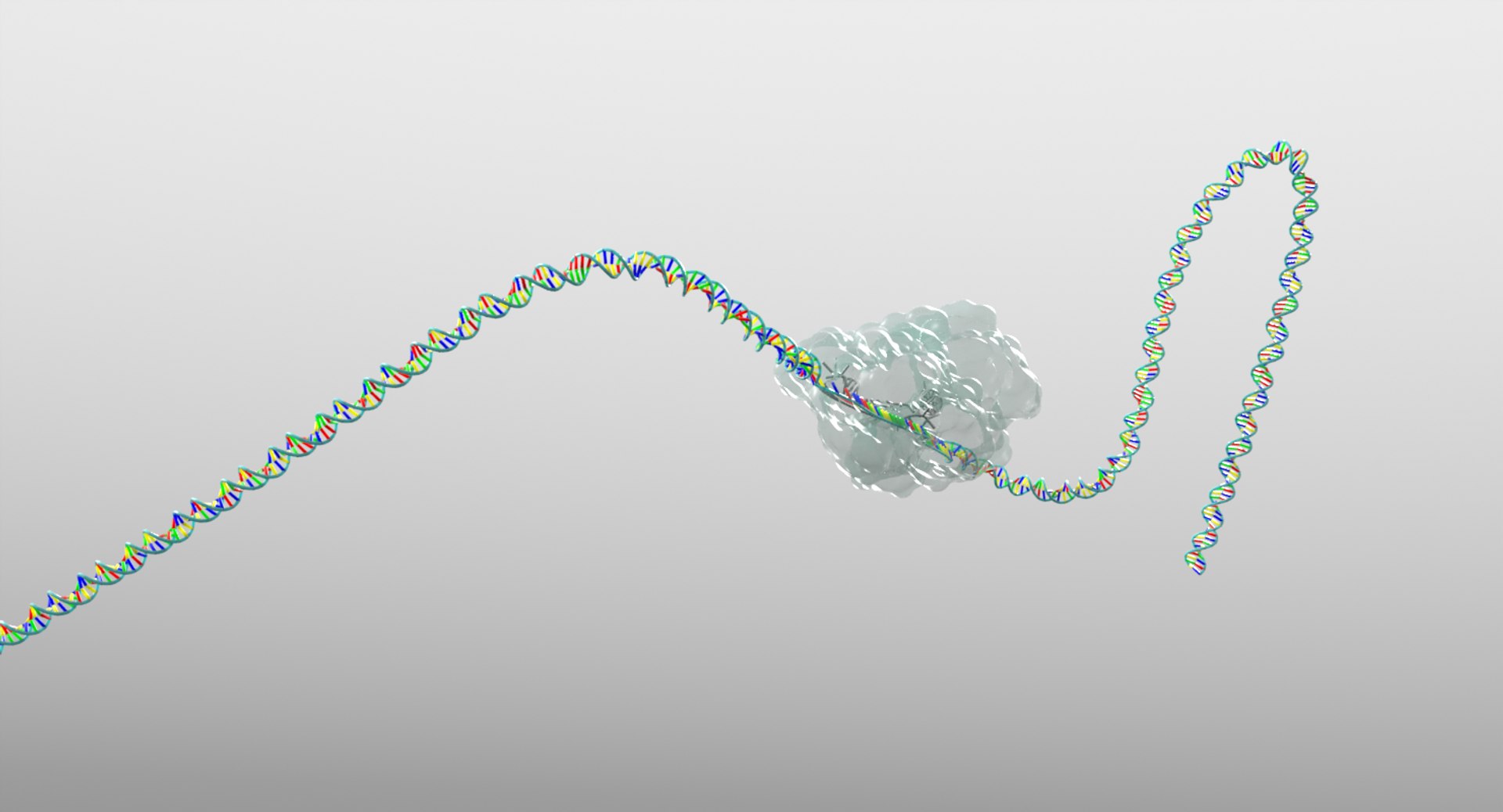 Crispr-cas9 Gene Editing Complex 3D - TurboSquid 1293629