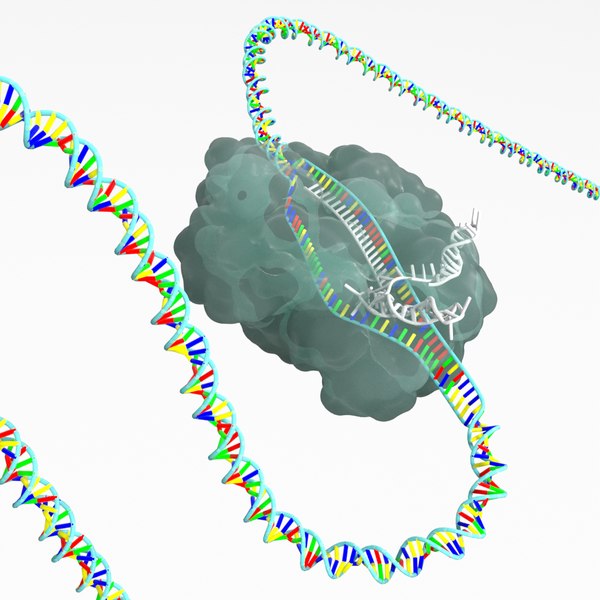 Free 3D Dna Models | TurboSquid