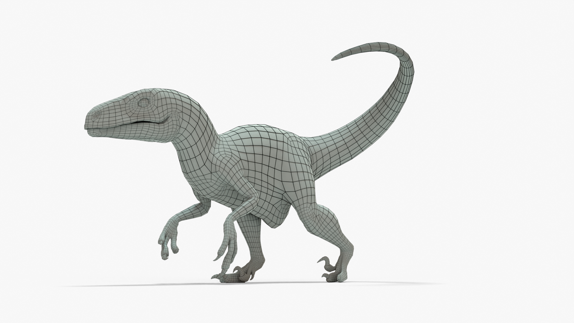 modelo 3d Raptor Rigged Basemesh - TurboSquid 2103726