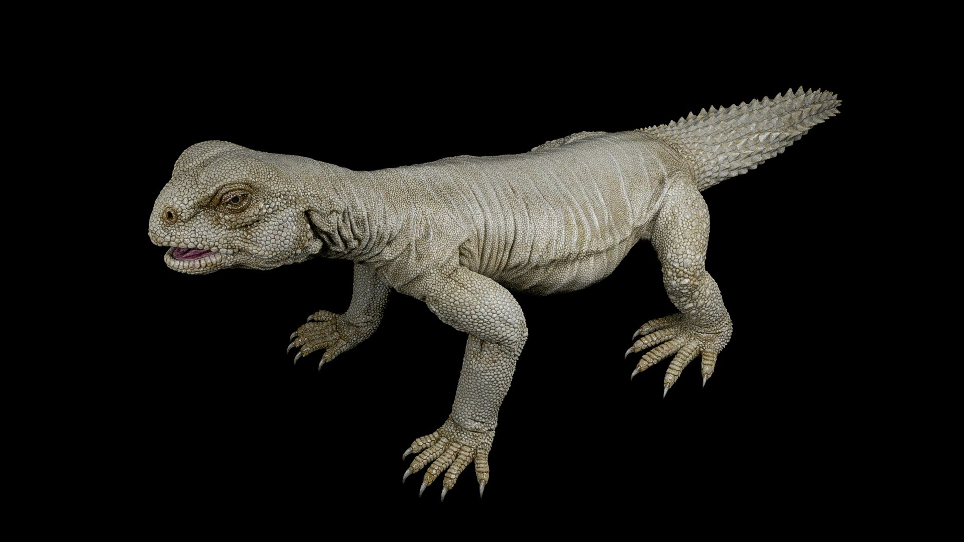 Uromastyx Lizard 3D - TurboSquid 1371119
