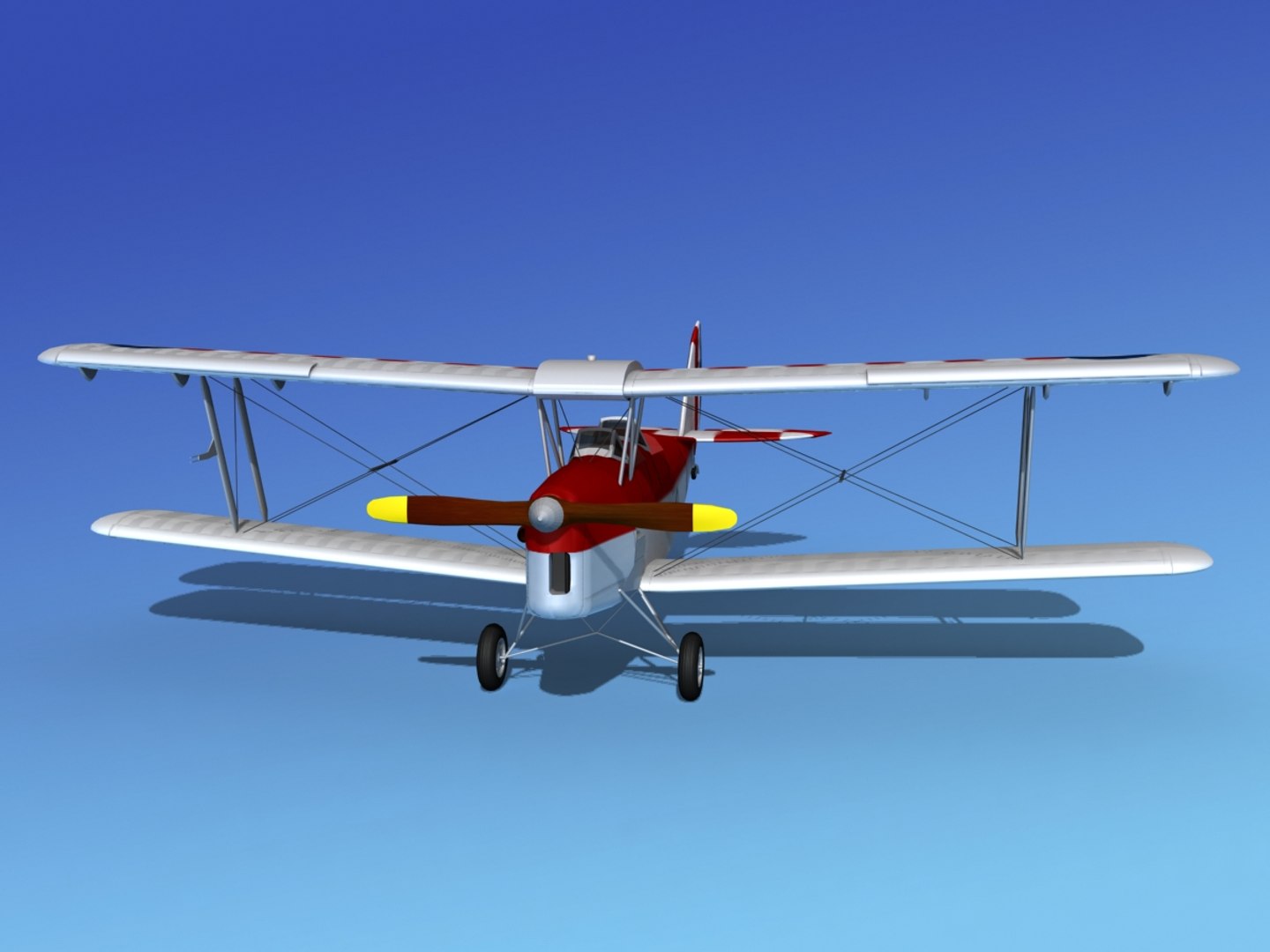 3d Tiger Moth