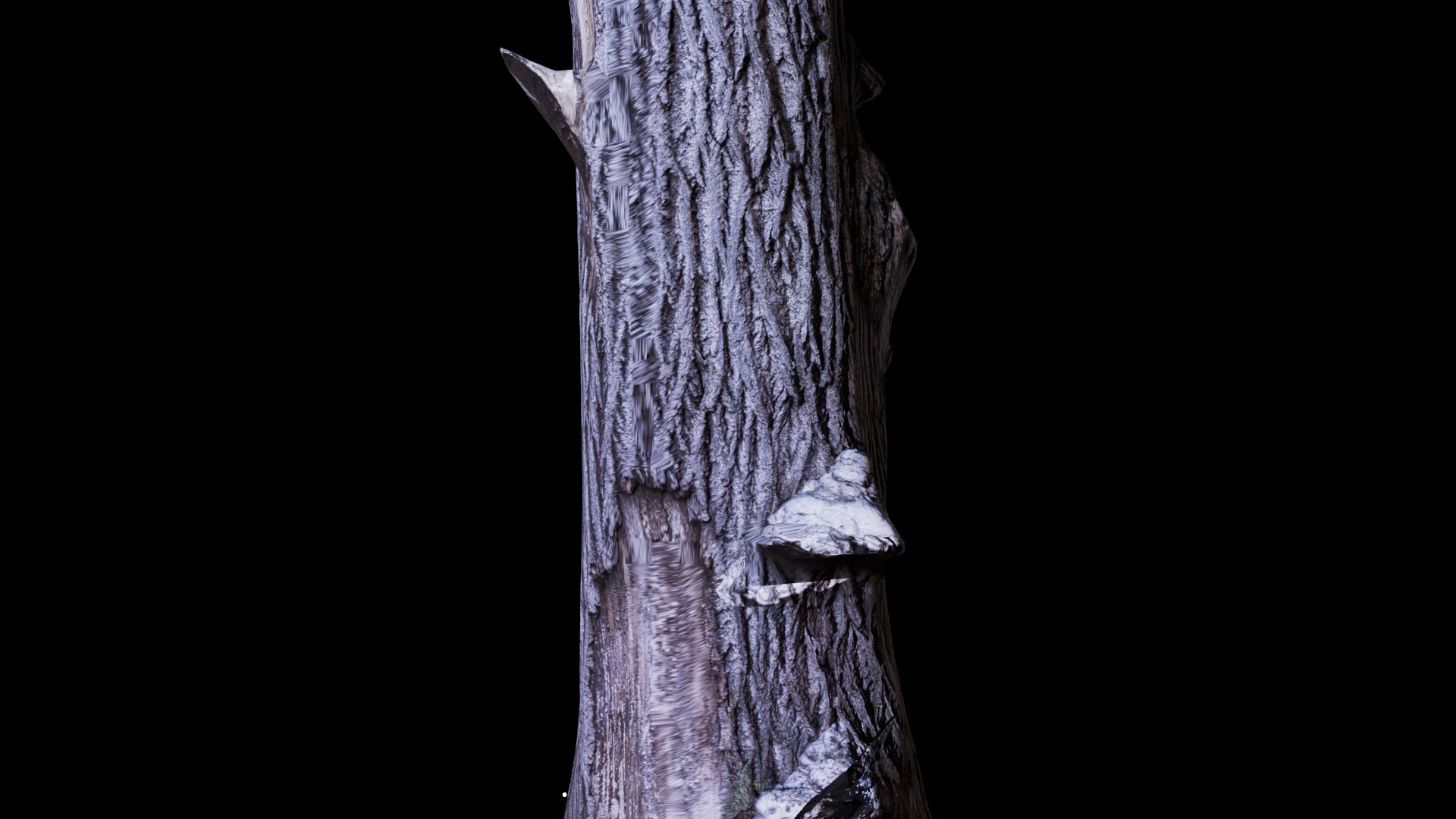 3D Tree 11 Photogrammetry - TurboSquid 2187950