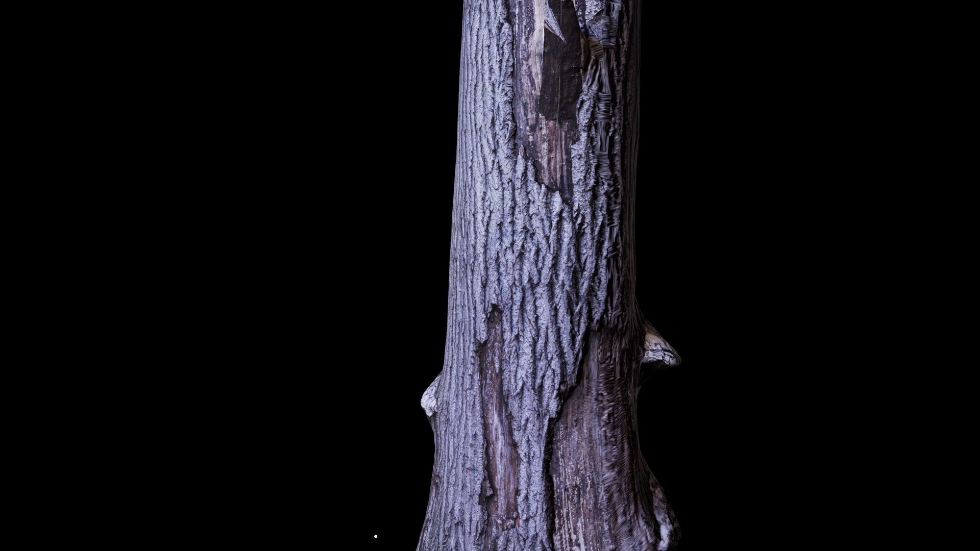 3D Tree 11 Photogrammetry - TurboSquid 2187950
