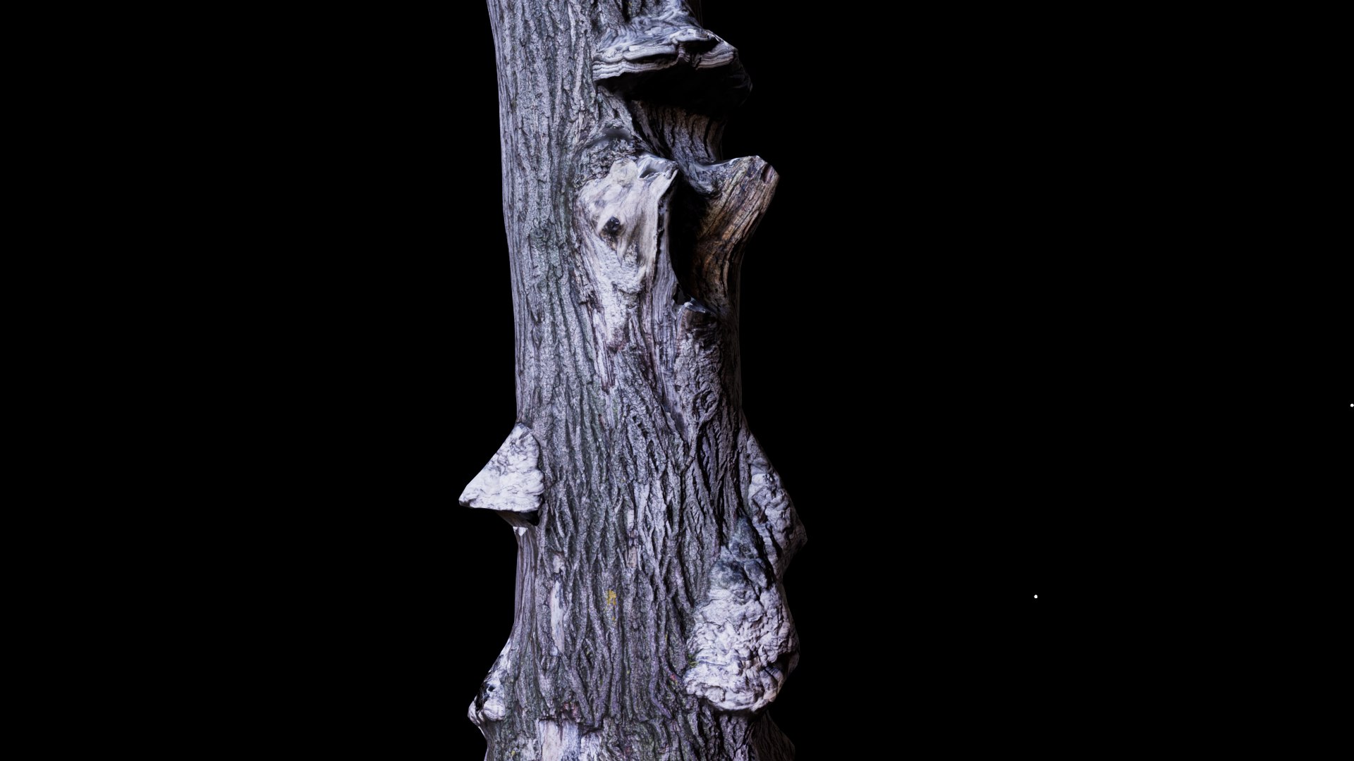 3D Tree 11 Photogrammetry - TurboSquid 2187950