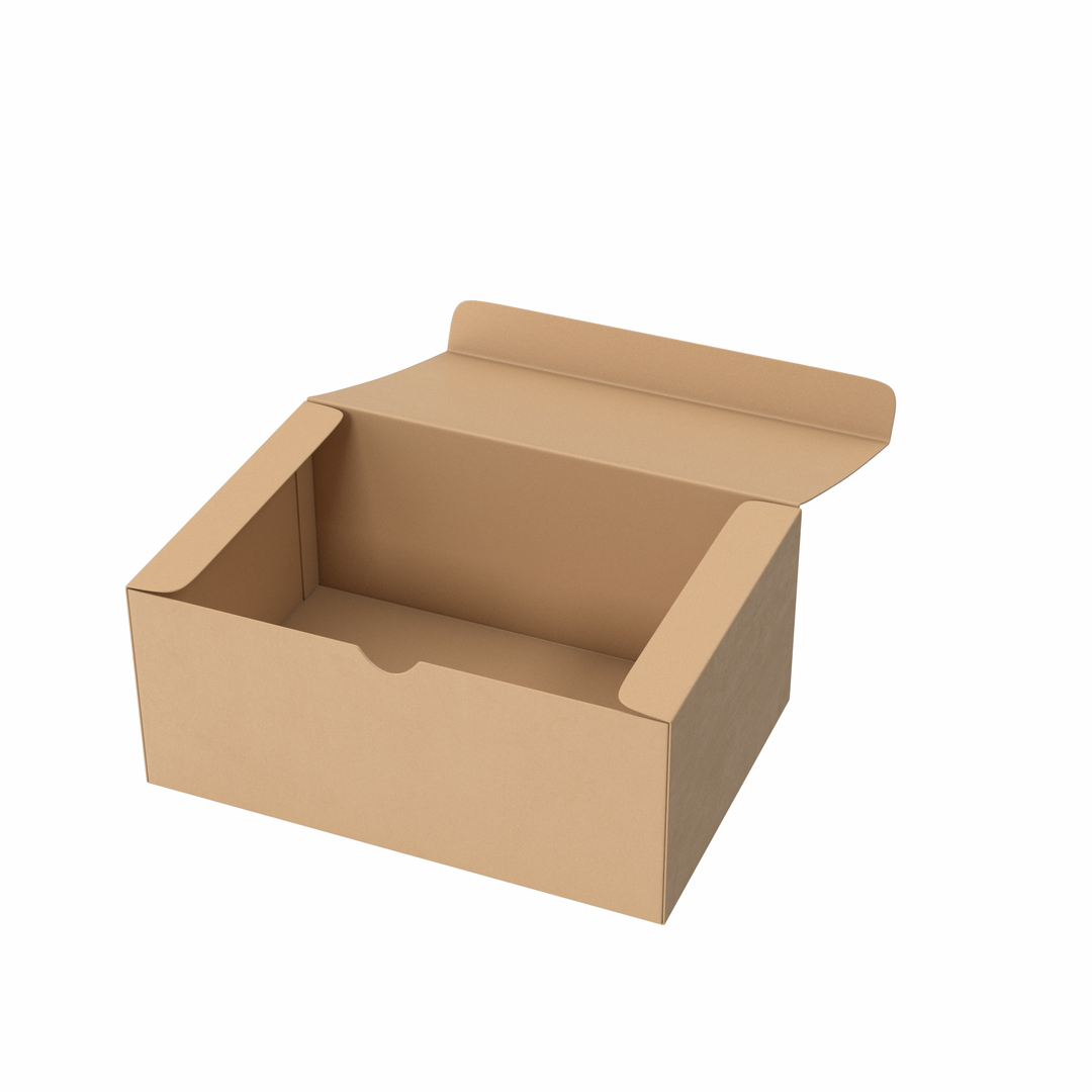 Box Package 2 3D Model - TurboSquid 2060642