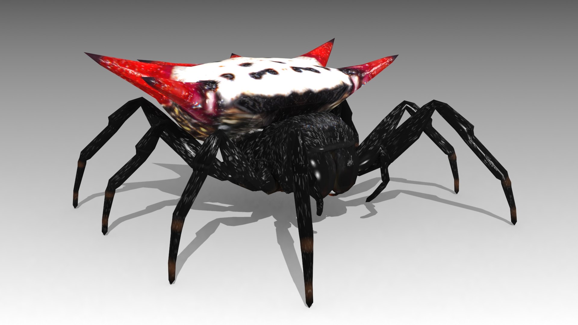 3D Spinybacked Spider - TurboSquid 1260781