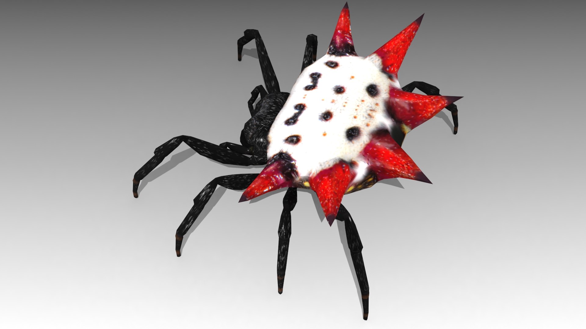 3D Spinybacked Spider - TurboSquid 1260781