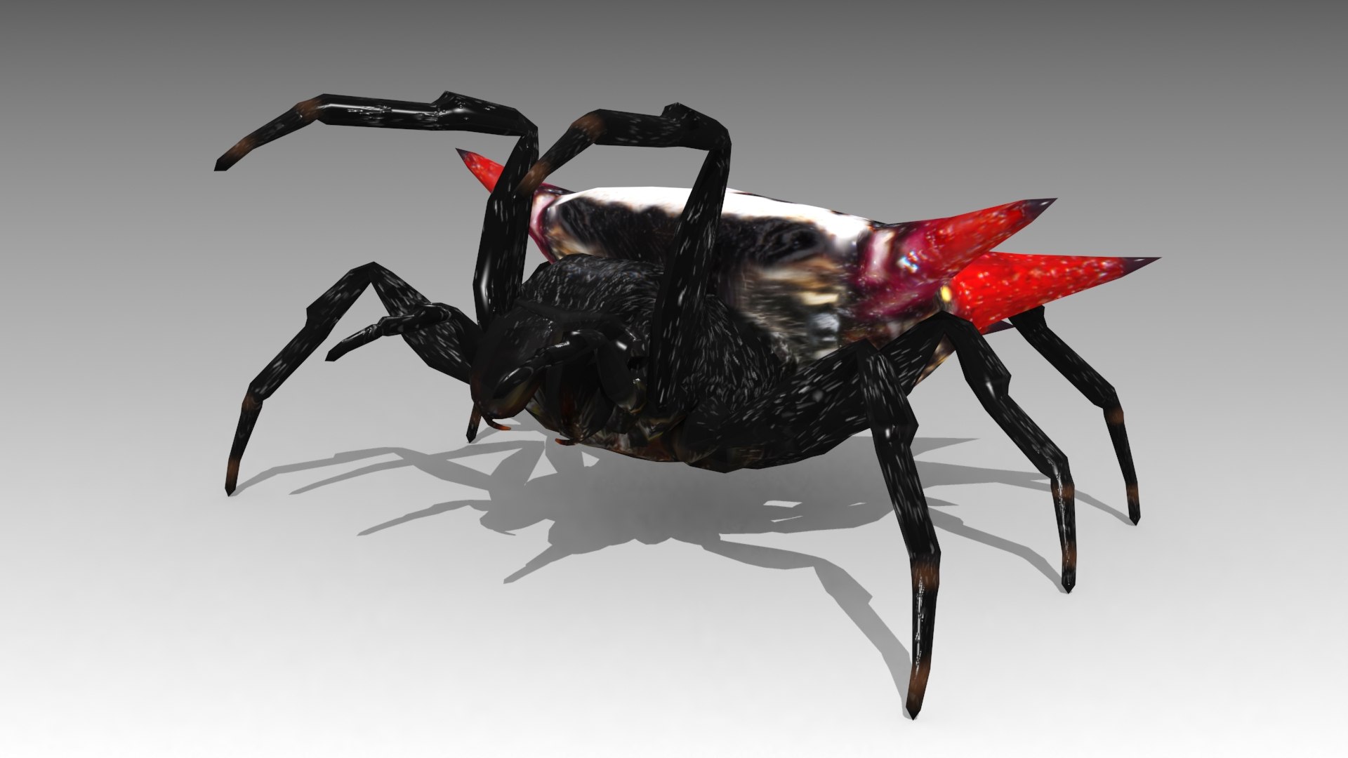 3D Spinybacked Spider - TurboSquid 1260781