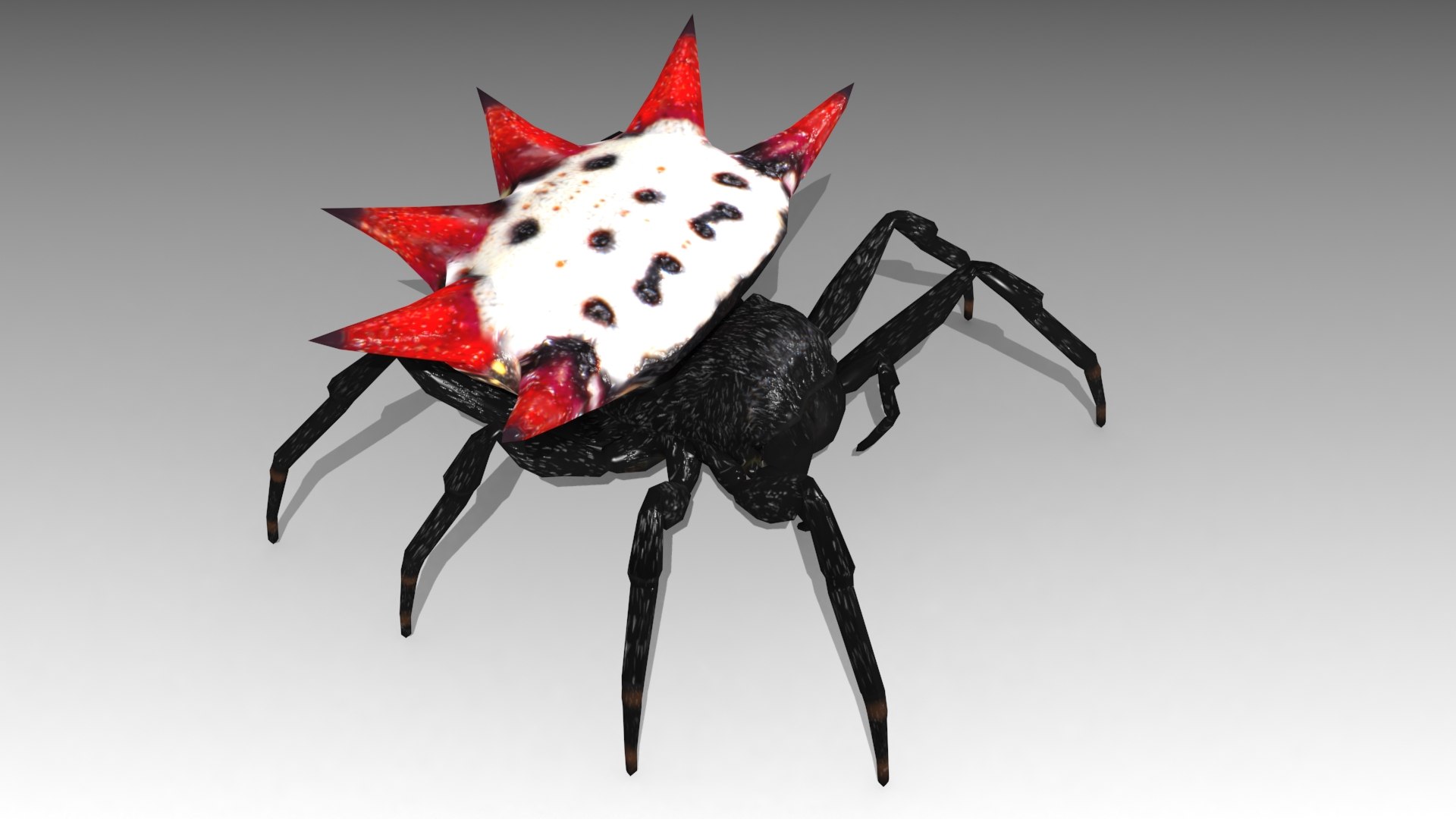 3D Spinybacked Spider - TurboSquid 1260781