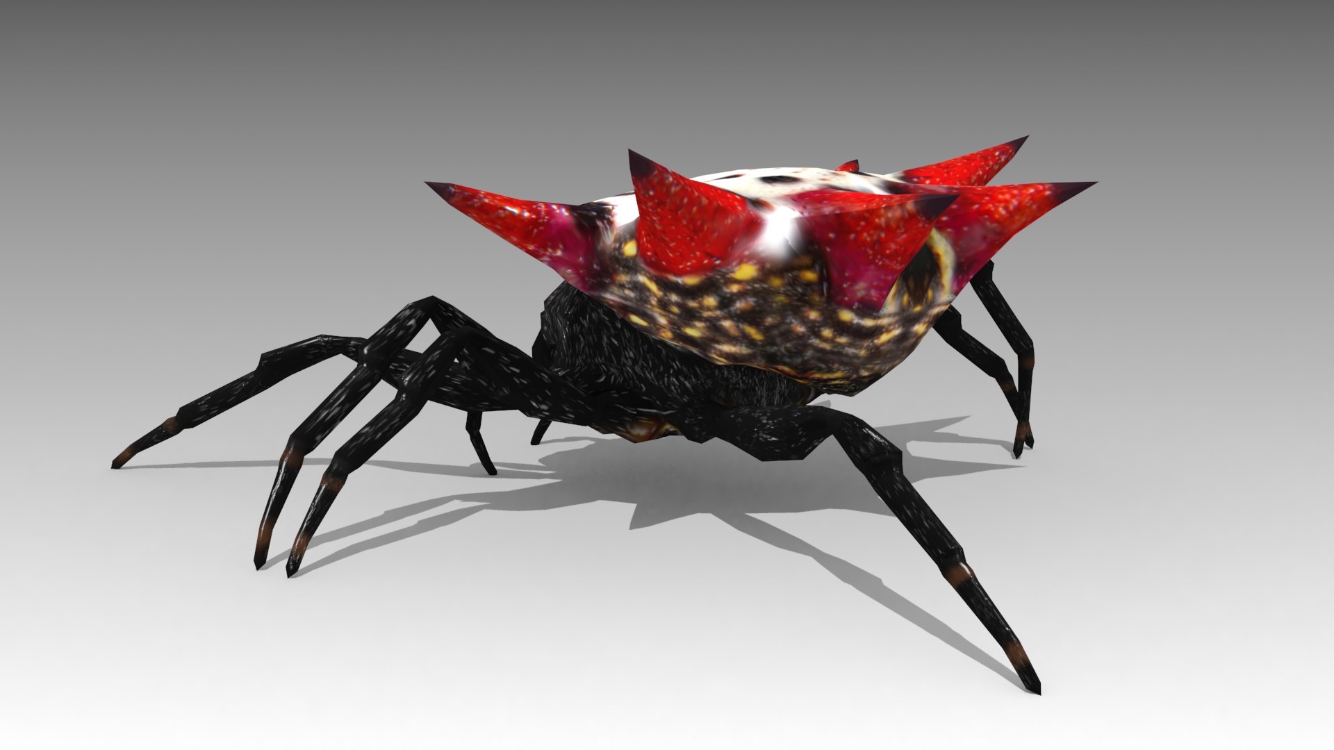 3D Spinybacked Spider - TurboSquid 1260781