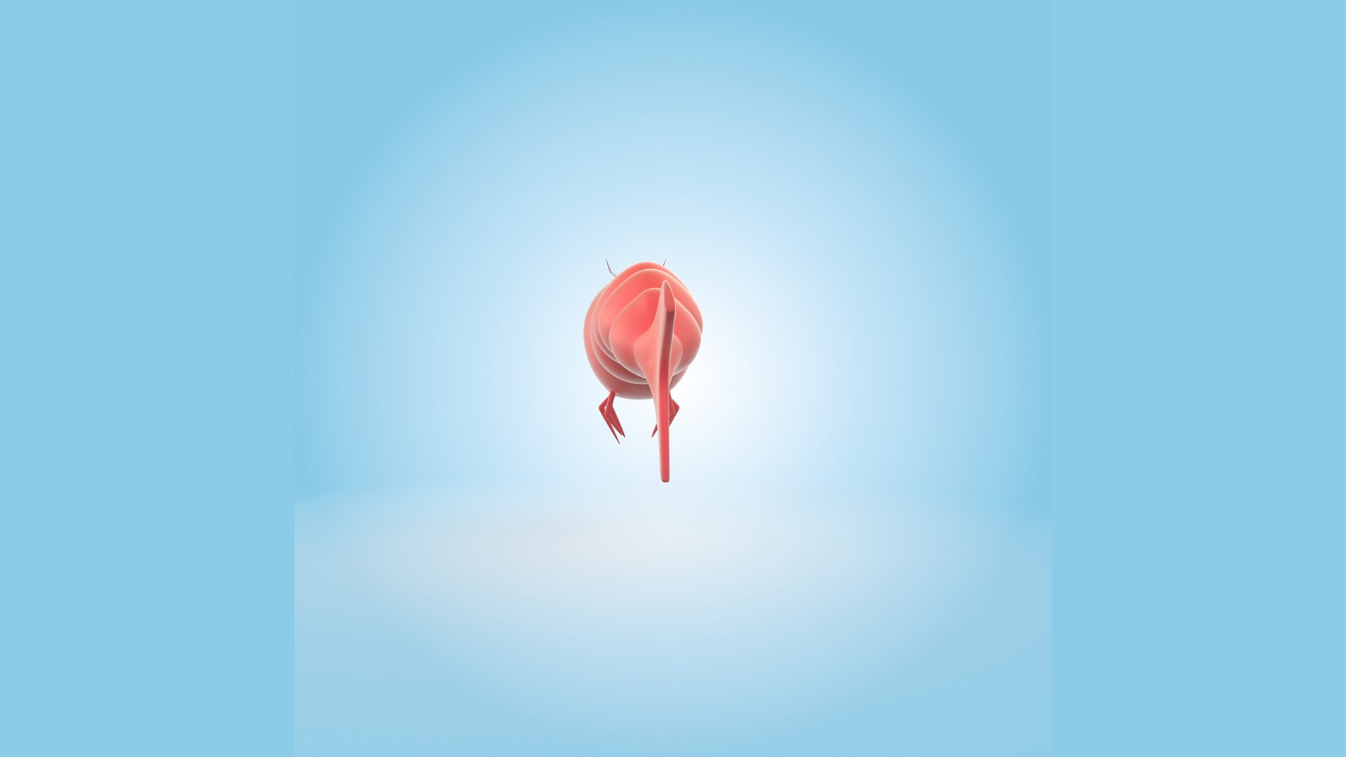 3D Shrimp - TurboSquid 2018156