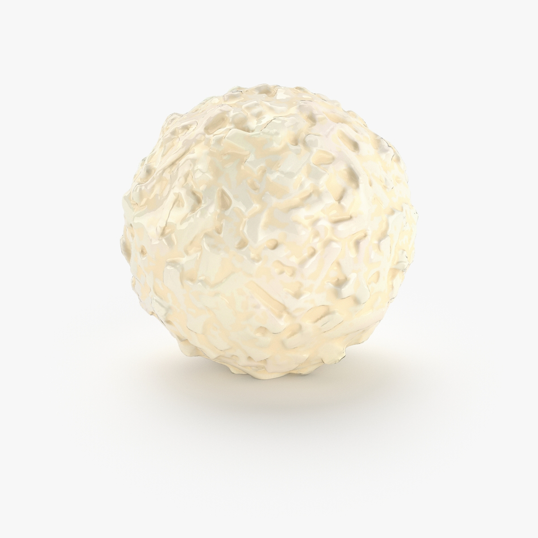 3d Raffaello Real Realistic Model