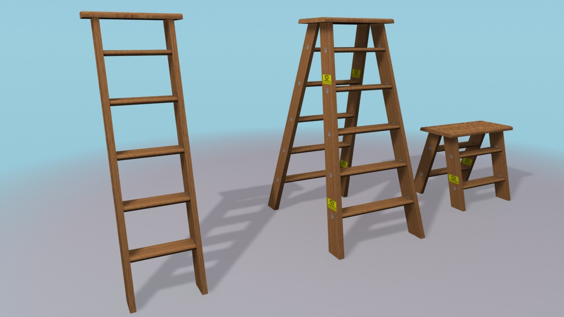 Ladders 3d Model