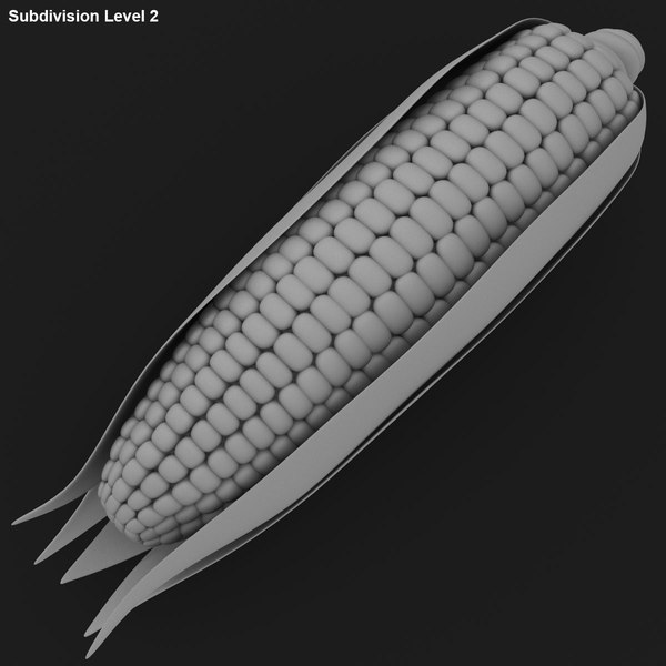 3d realistic corn