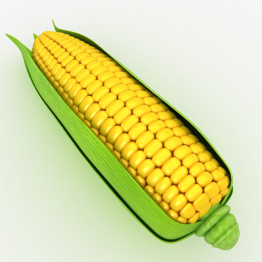 3d Realistic Corn