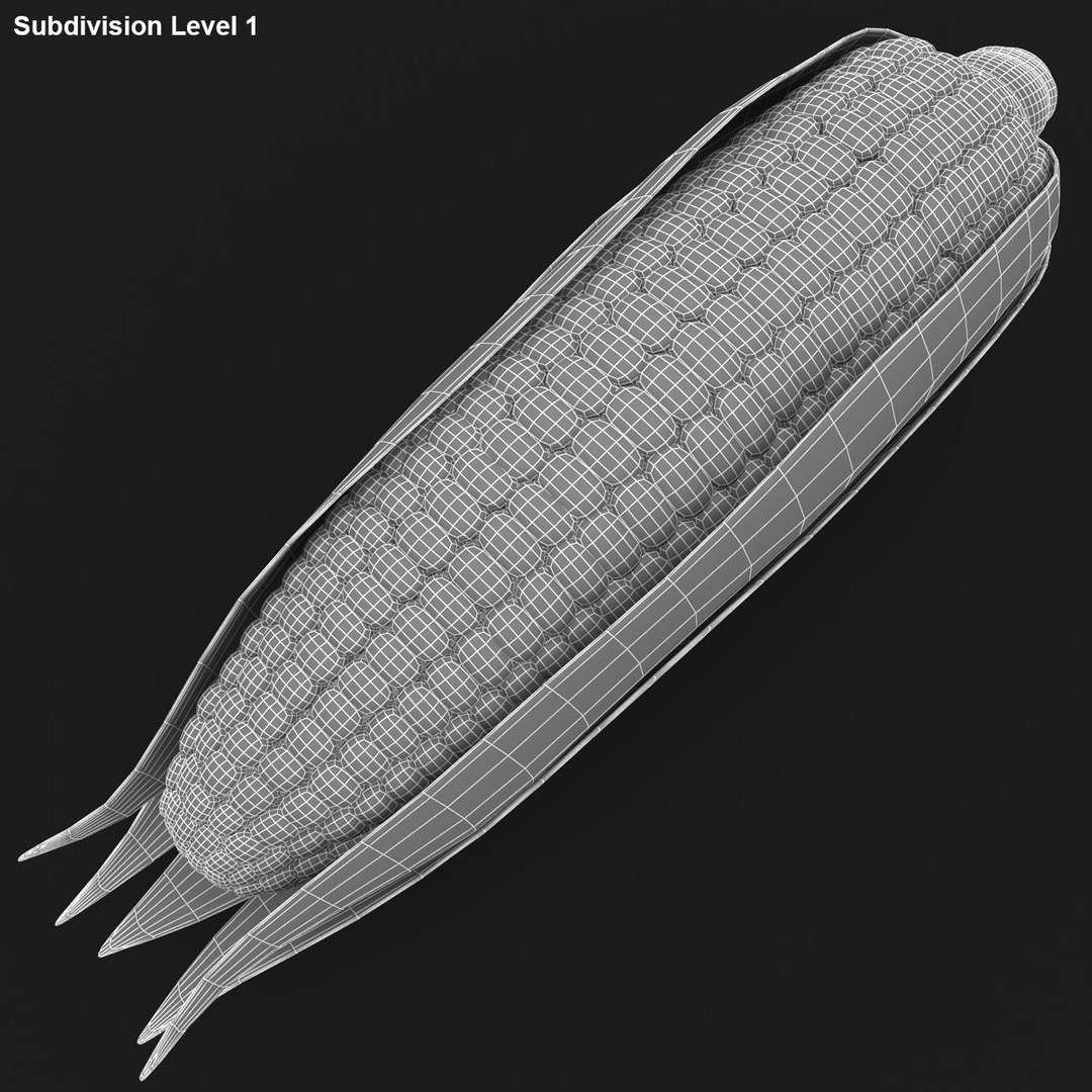 3d Realistic Corn