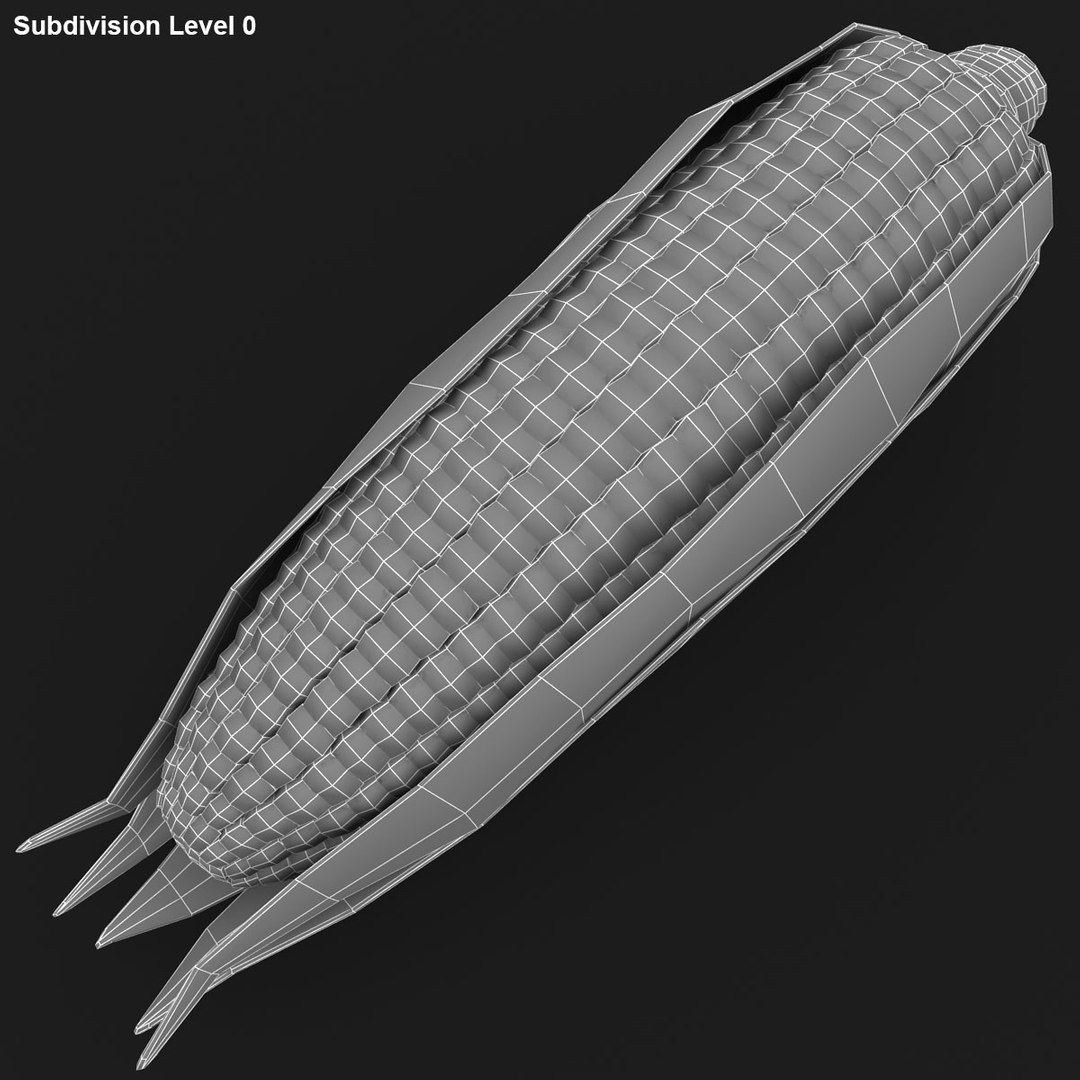 3d Realistic Corn