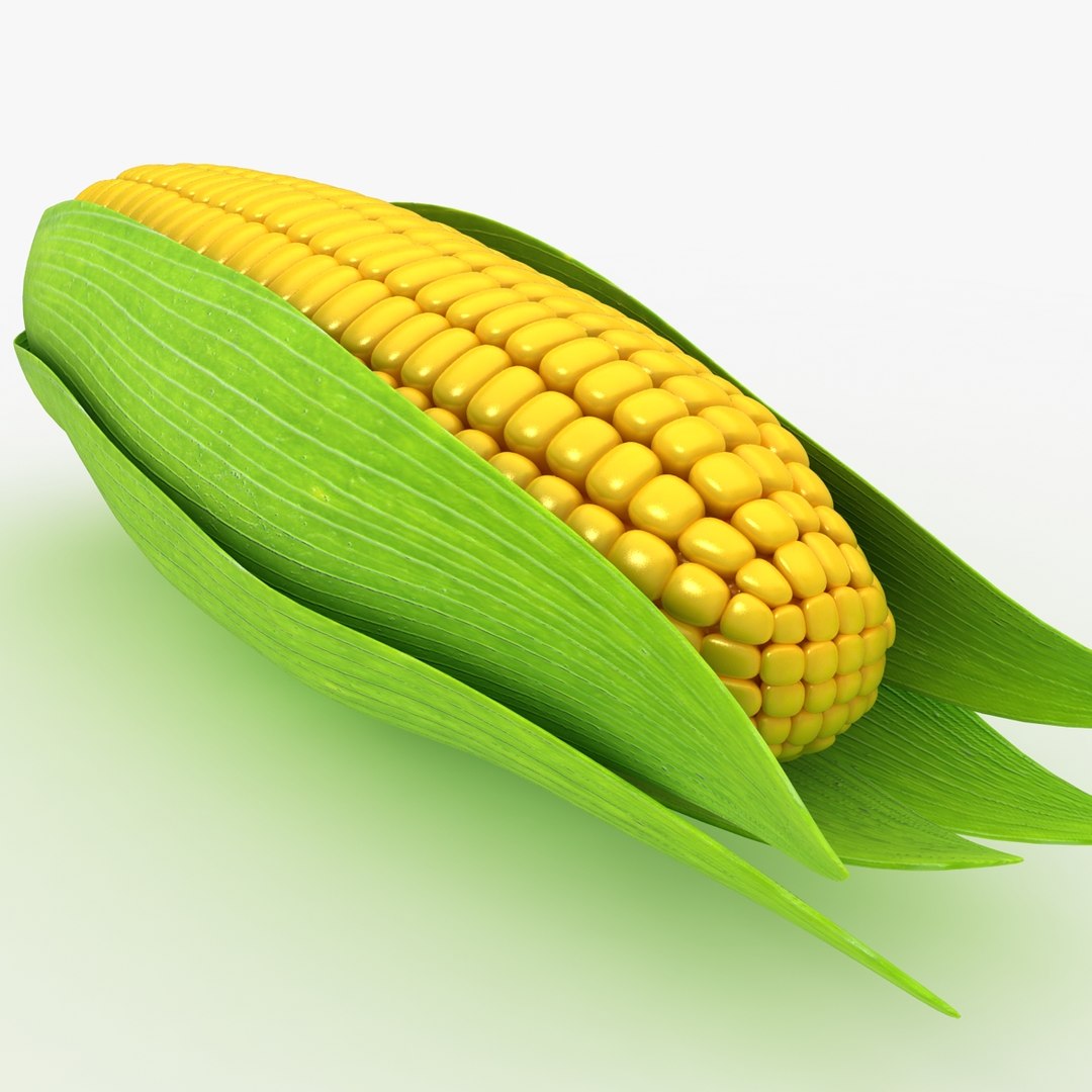 3d Realistic Corn