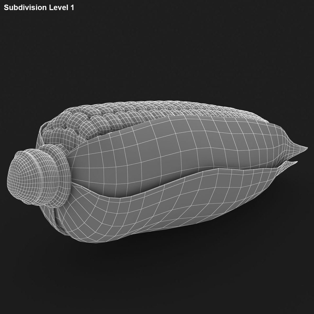 3d Realistic Corn