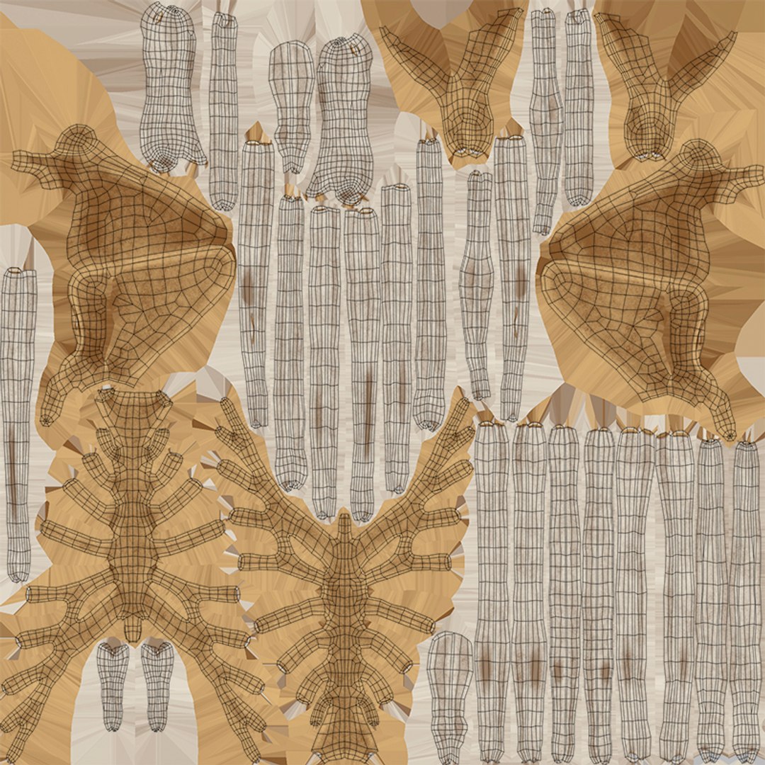 3d model ribcage complete