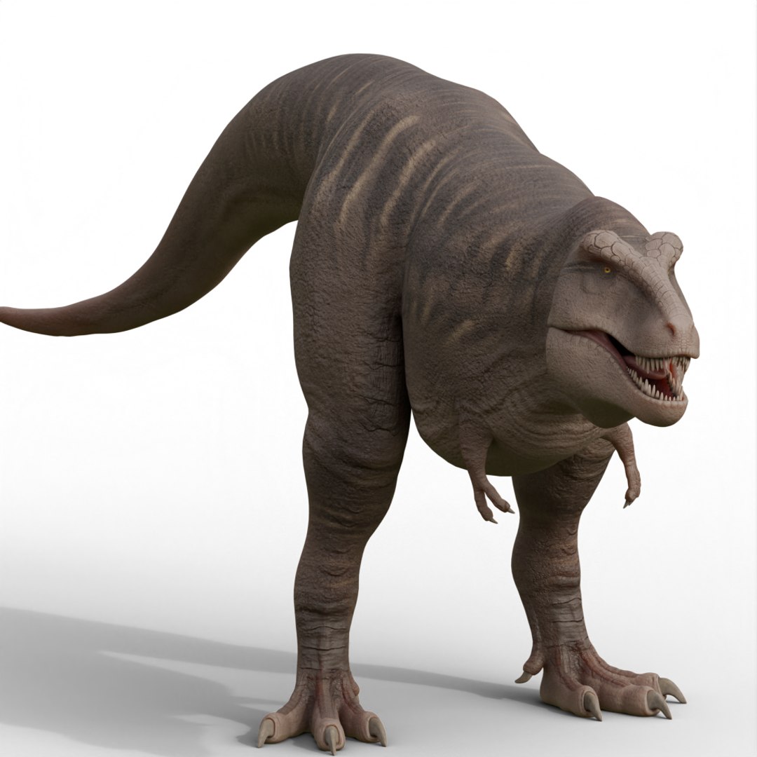 3D Tyrannosaurus Rex 3D Rig Model - TurboSquid 2242771