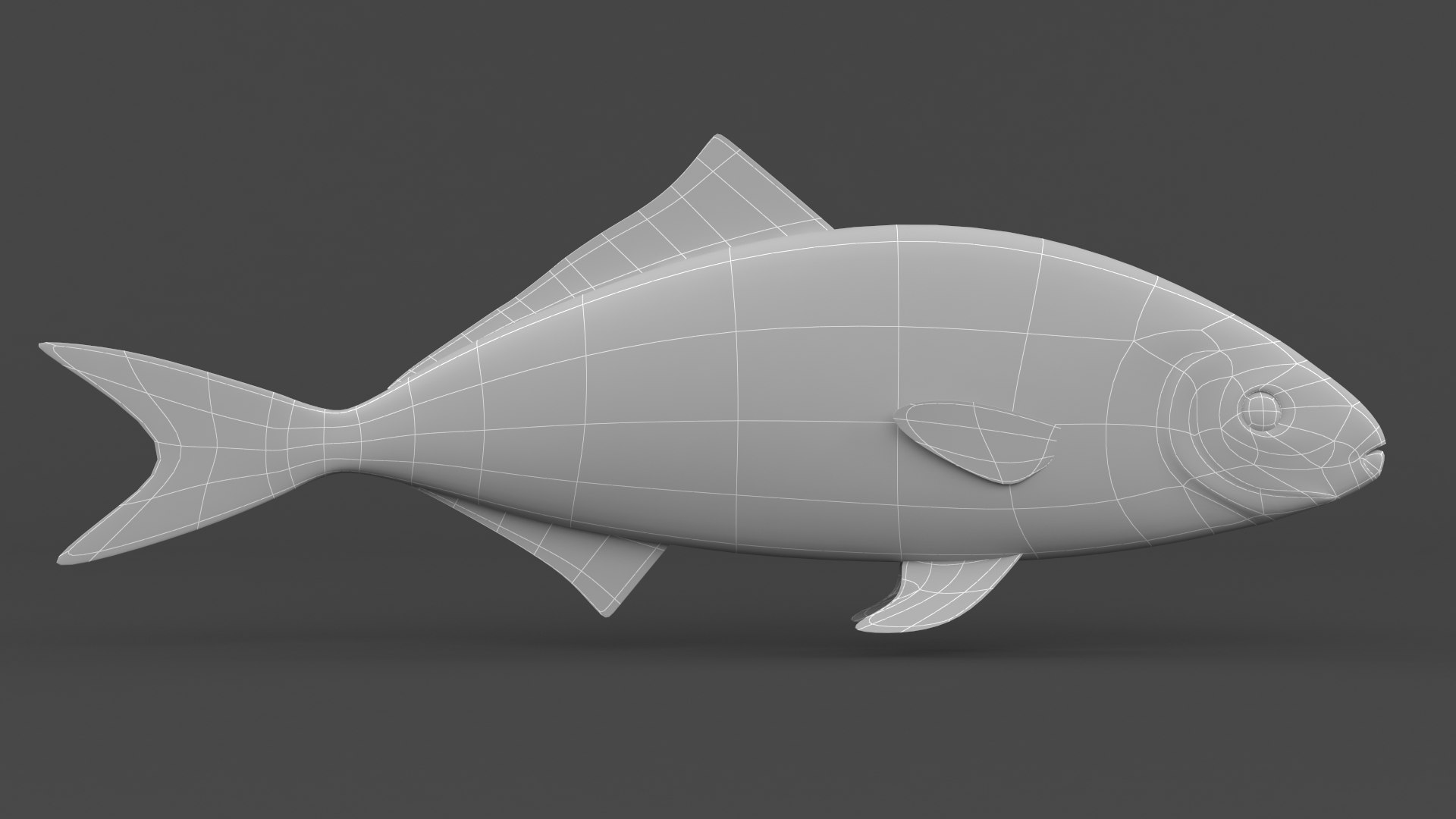 3D Amberjack Fish Model - TurboSquid 2042045
