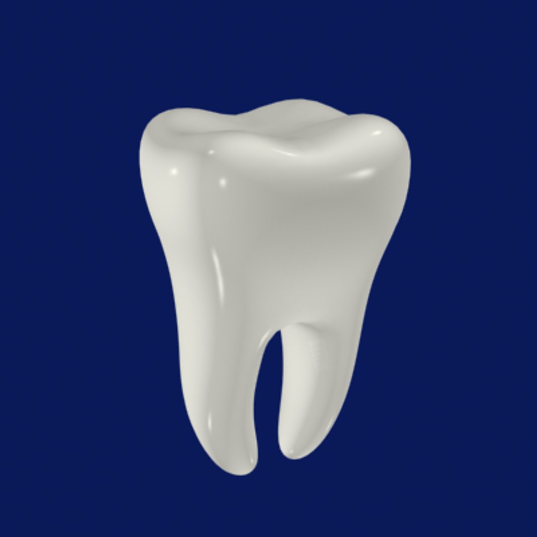 3d Tooth Model