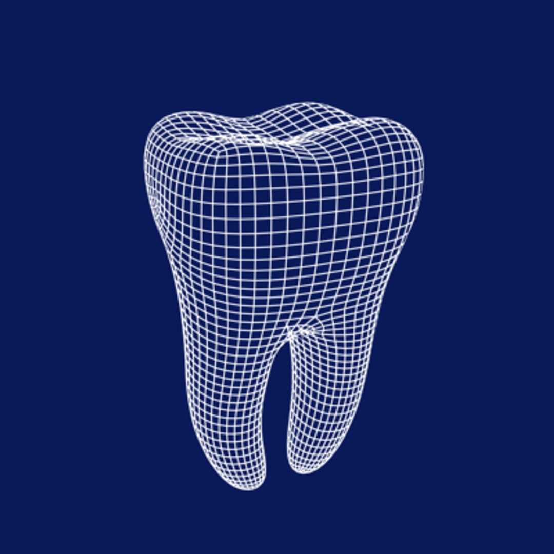 3d Tooth Model
