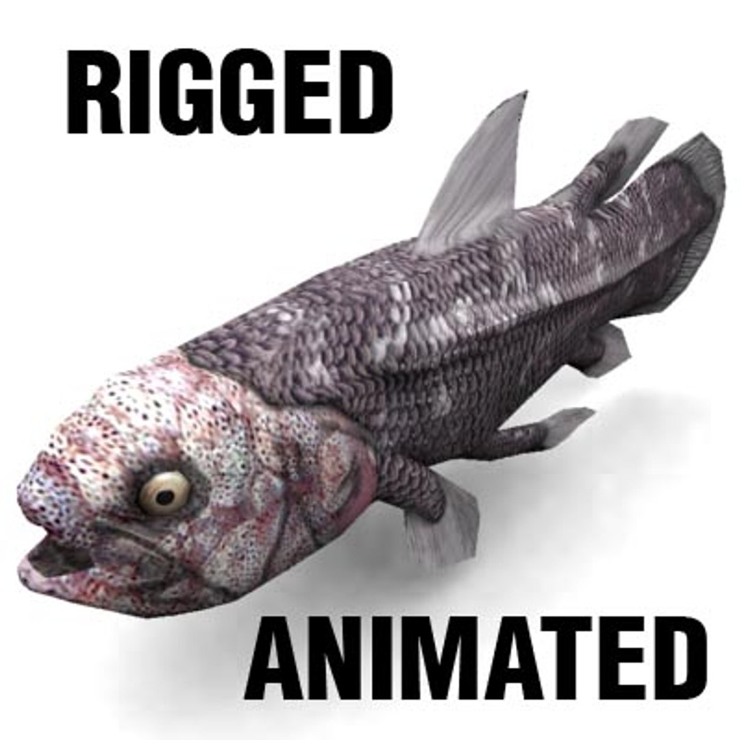 Coelacanth Animation 3d Model