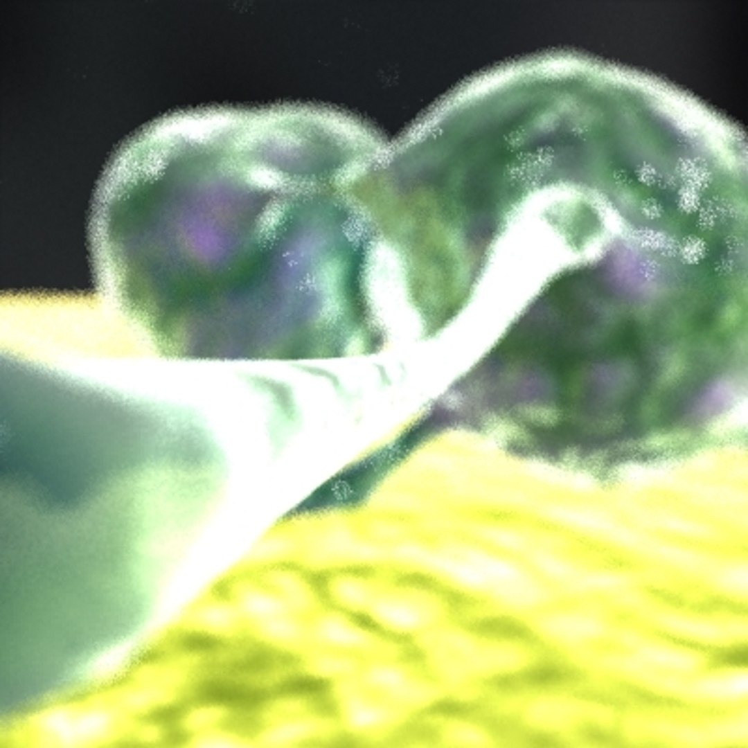 3d Mold Cells Model