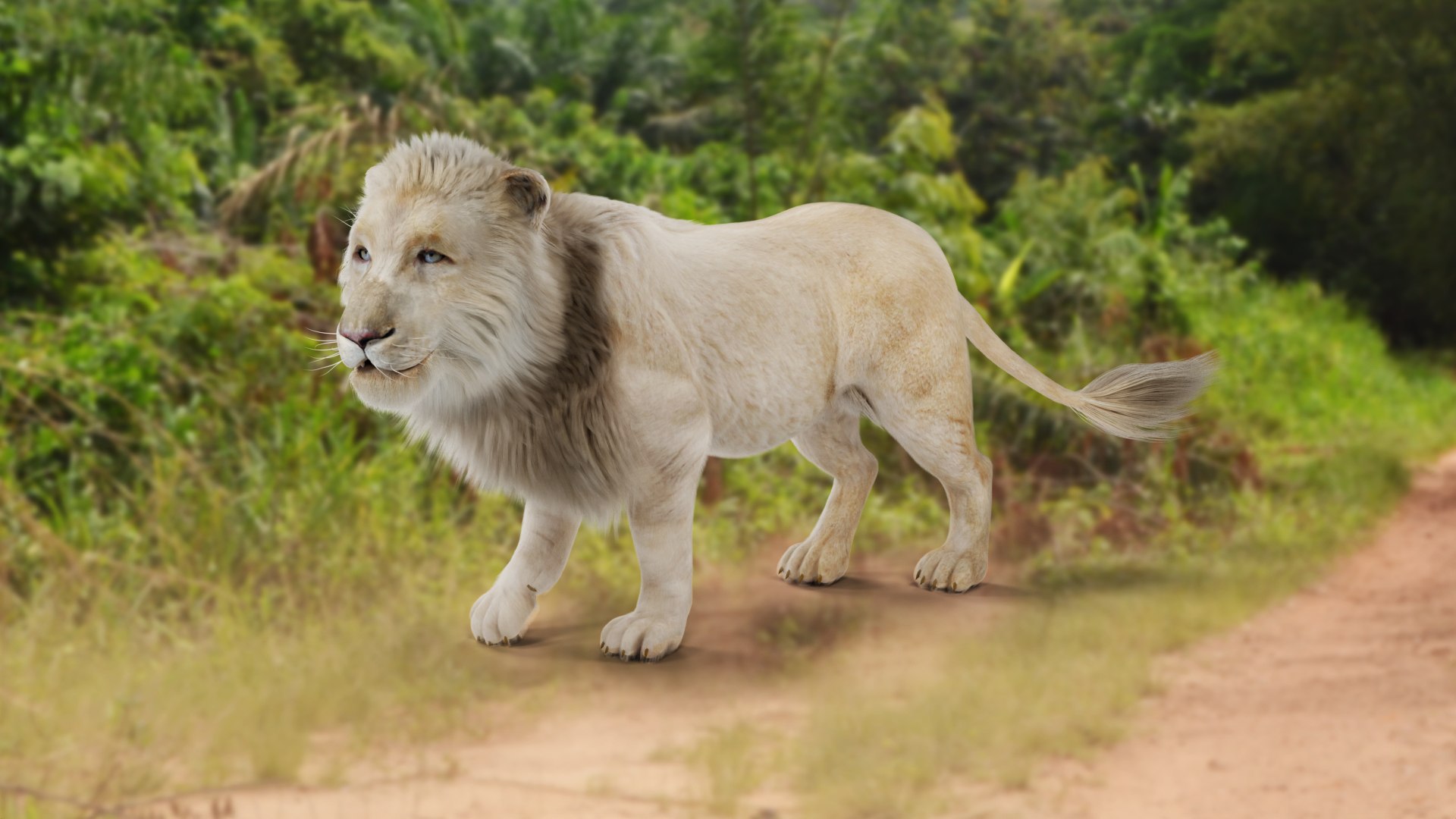 3D Fur White Lion Rigged And Animation In Blender Model - TurboSquid ...