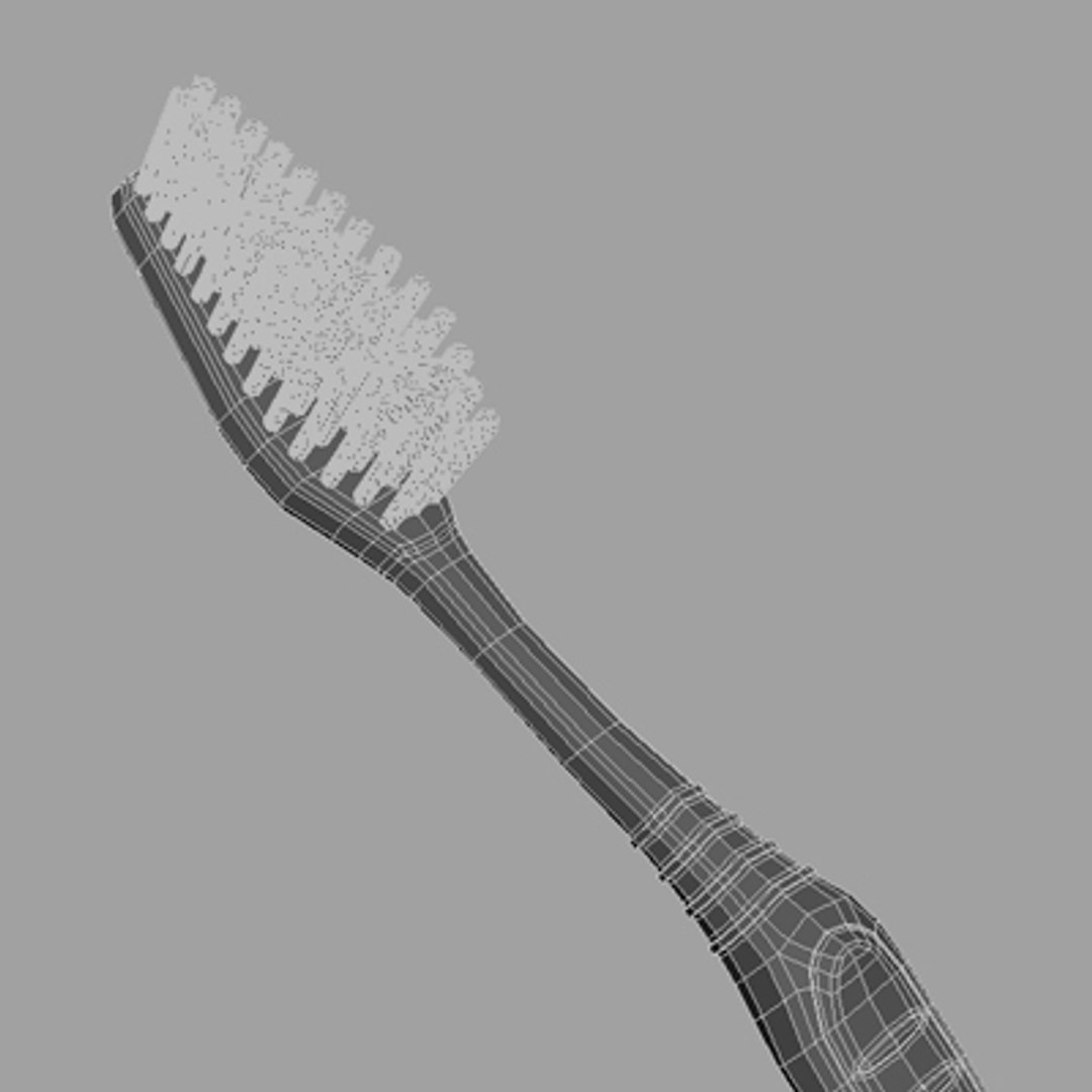 Toothbrush Tooth Brush 3d Model