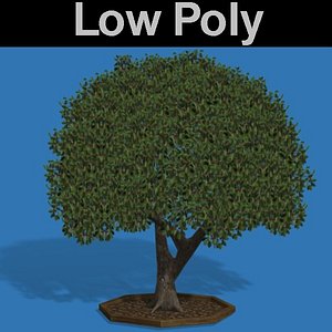 orange tree pl 3d model