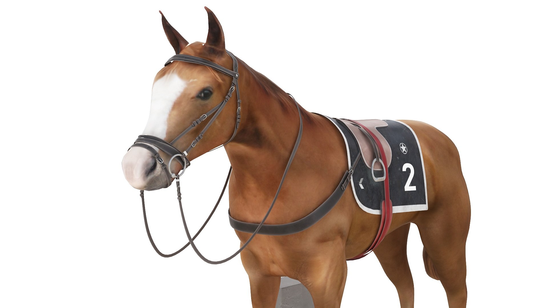 Horse With Stand Model - TurboSquid 2410743
