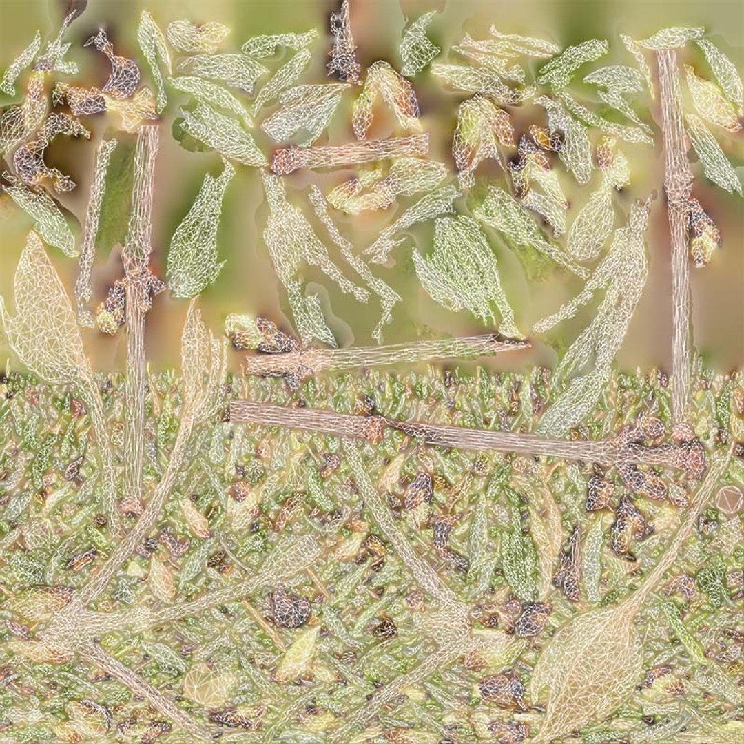 3D Aesculus Hippocastanum Common Horse Chestnut Sapindaceae Sprout 2 ...