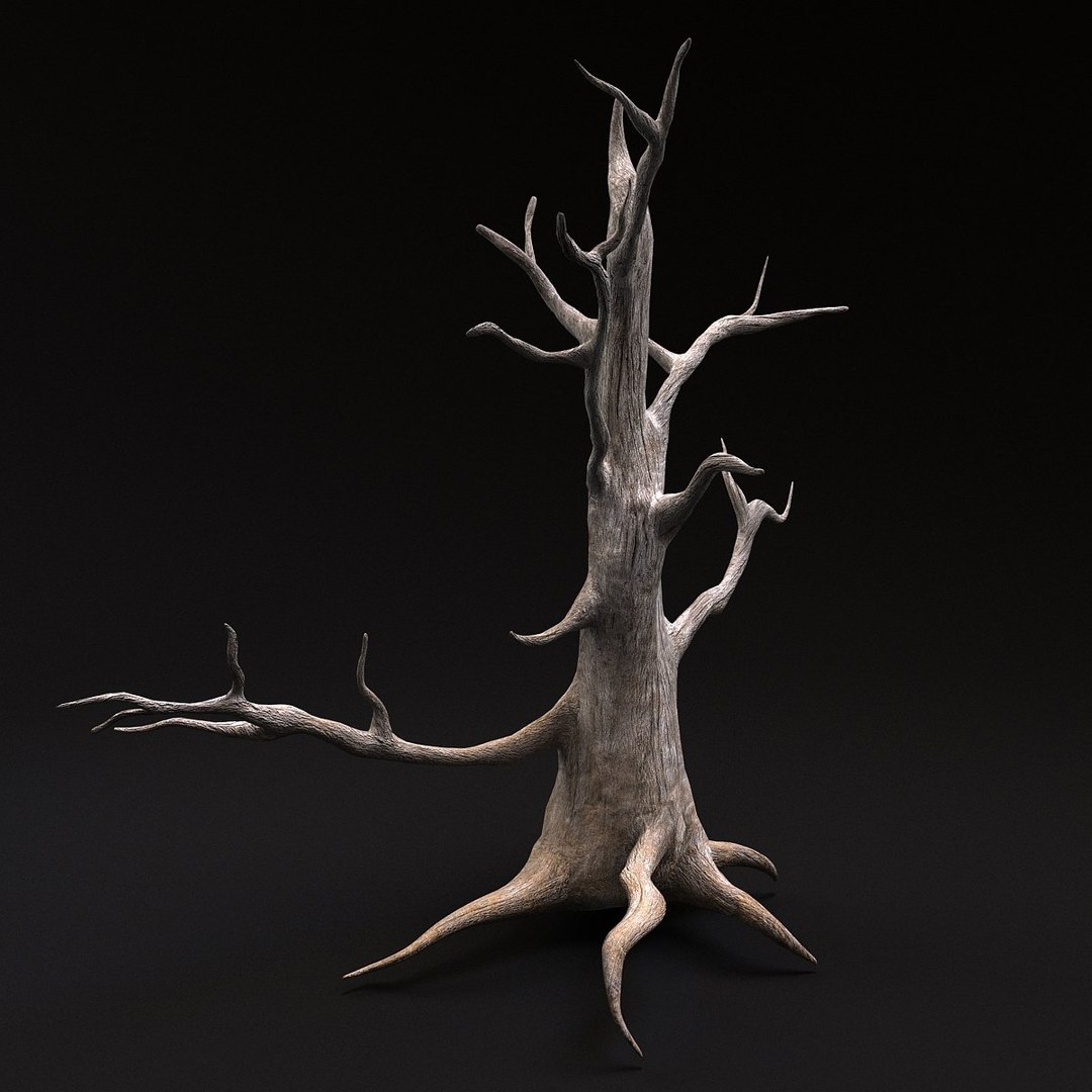 Desert Tree Model - TurboSquid 1355090