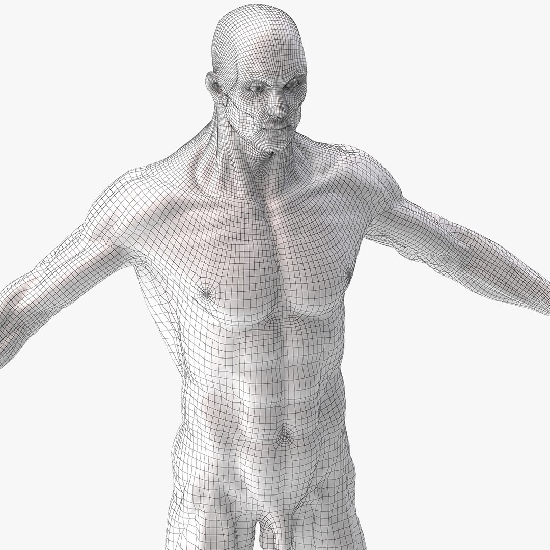 3d Model Muscular Human