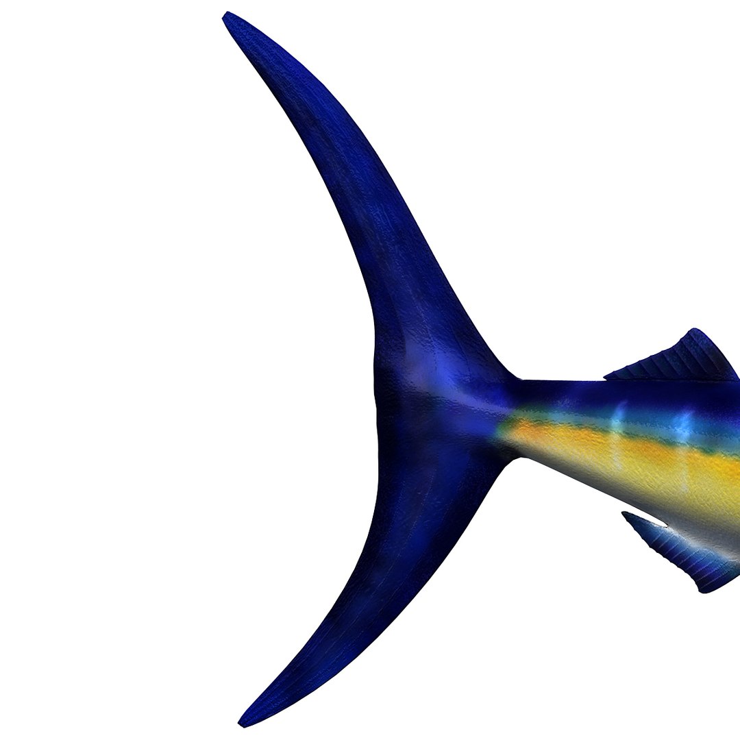 3ds Max Marlin Fish