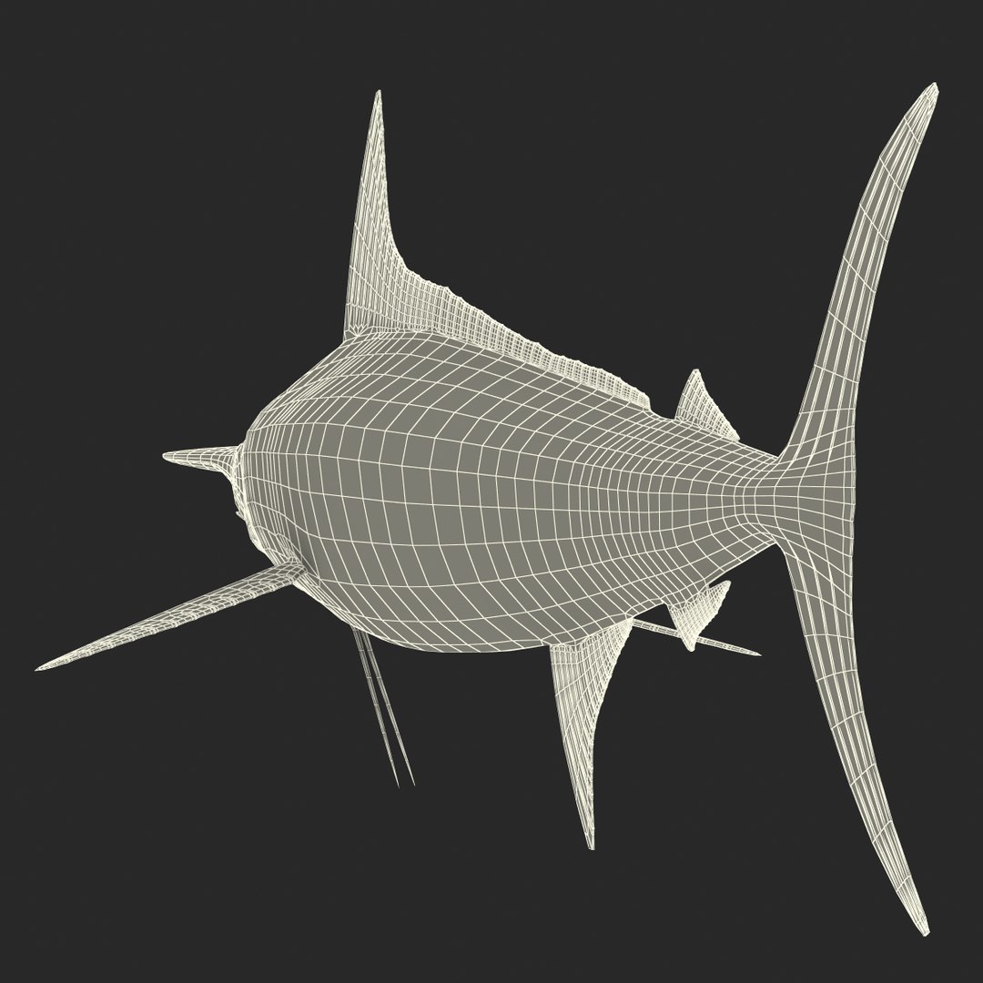 3ds Max Marlin Fish