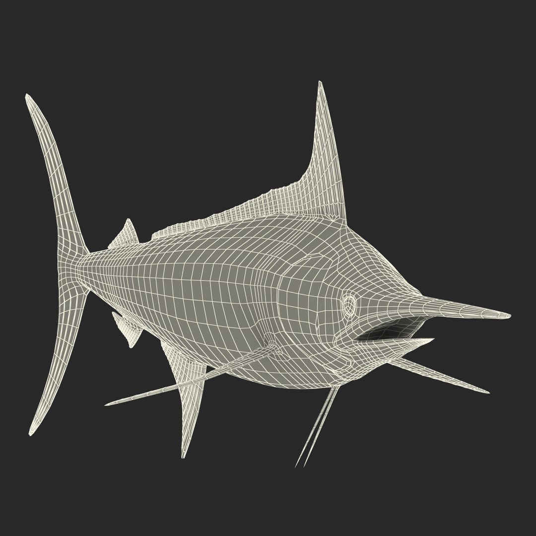 3ds Max Marlin Fish