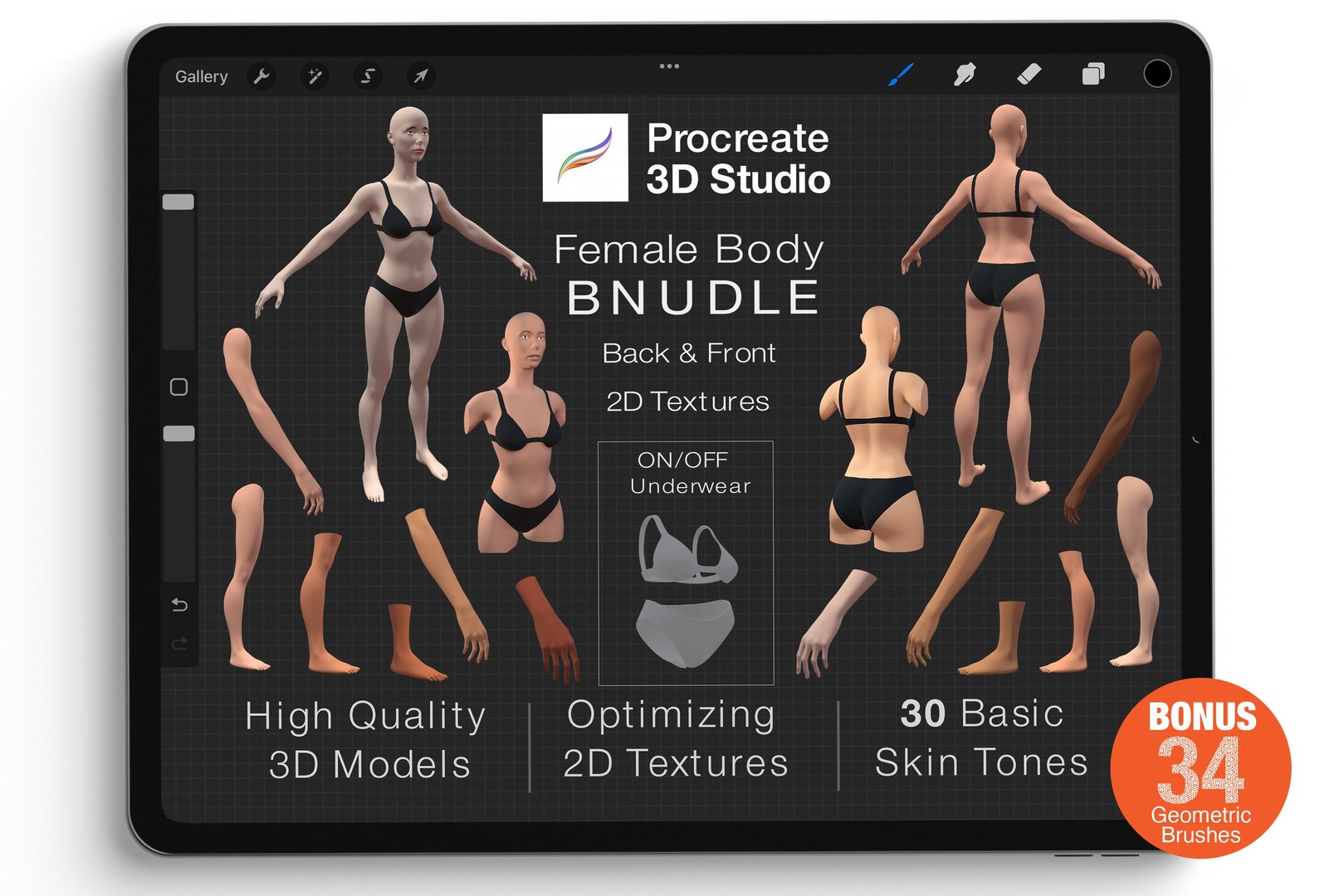 Procreate 3d Model - Female Bundle 3D - TurboSquid 1990649