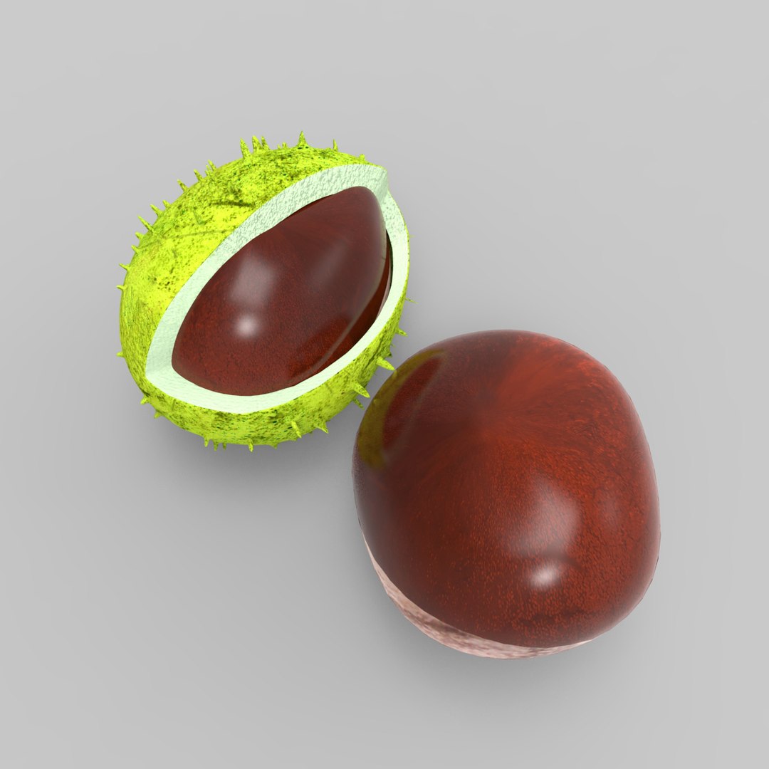 chestnut modelled 3d model